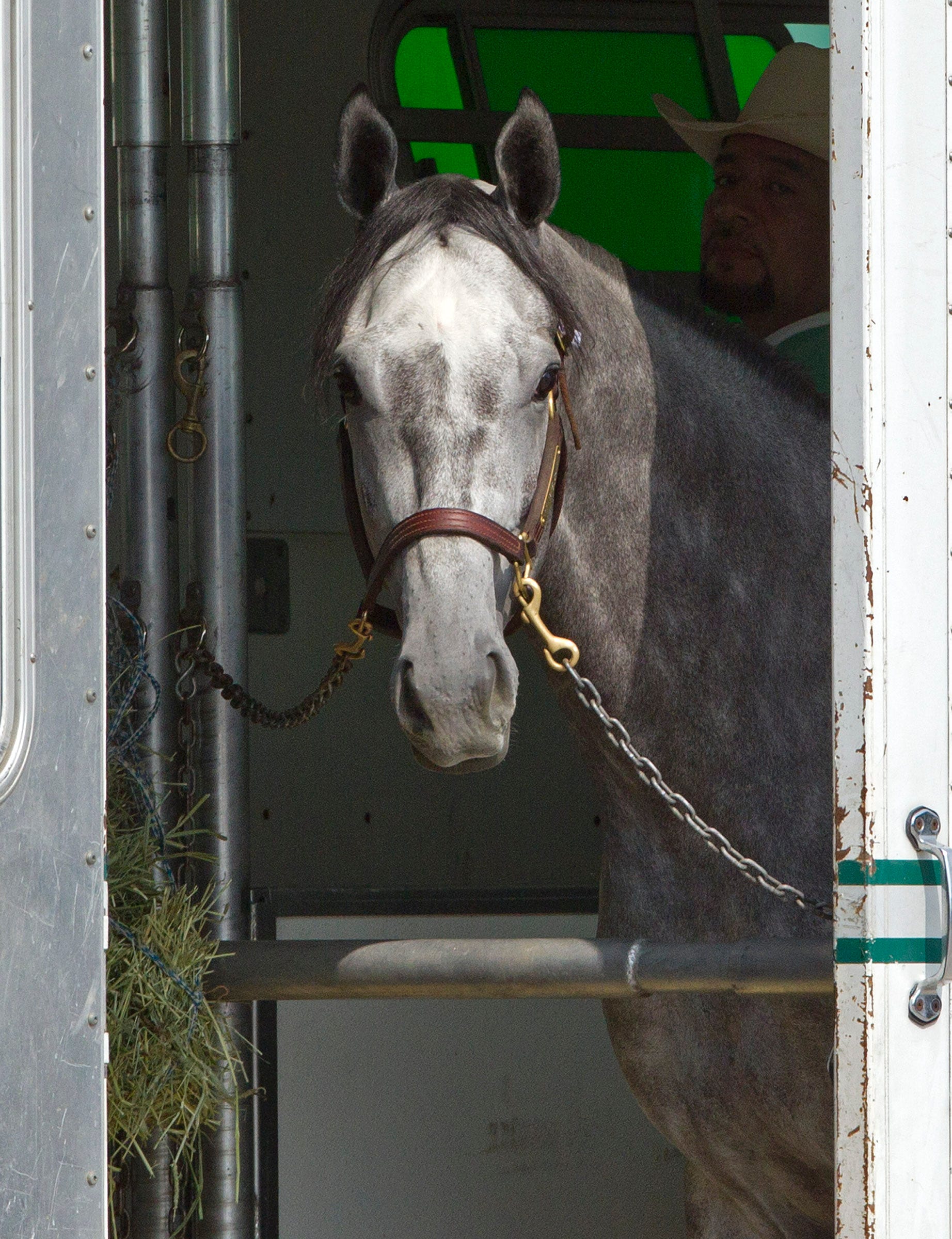 Del Mar notes: Creative Cause remains in light training
