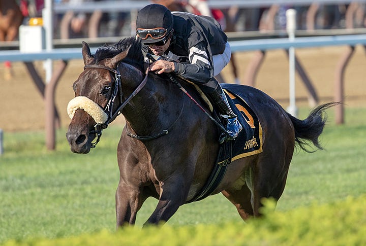 Proven fillies appear to have edge in Miss Grillo