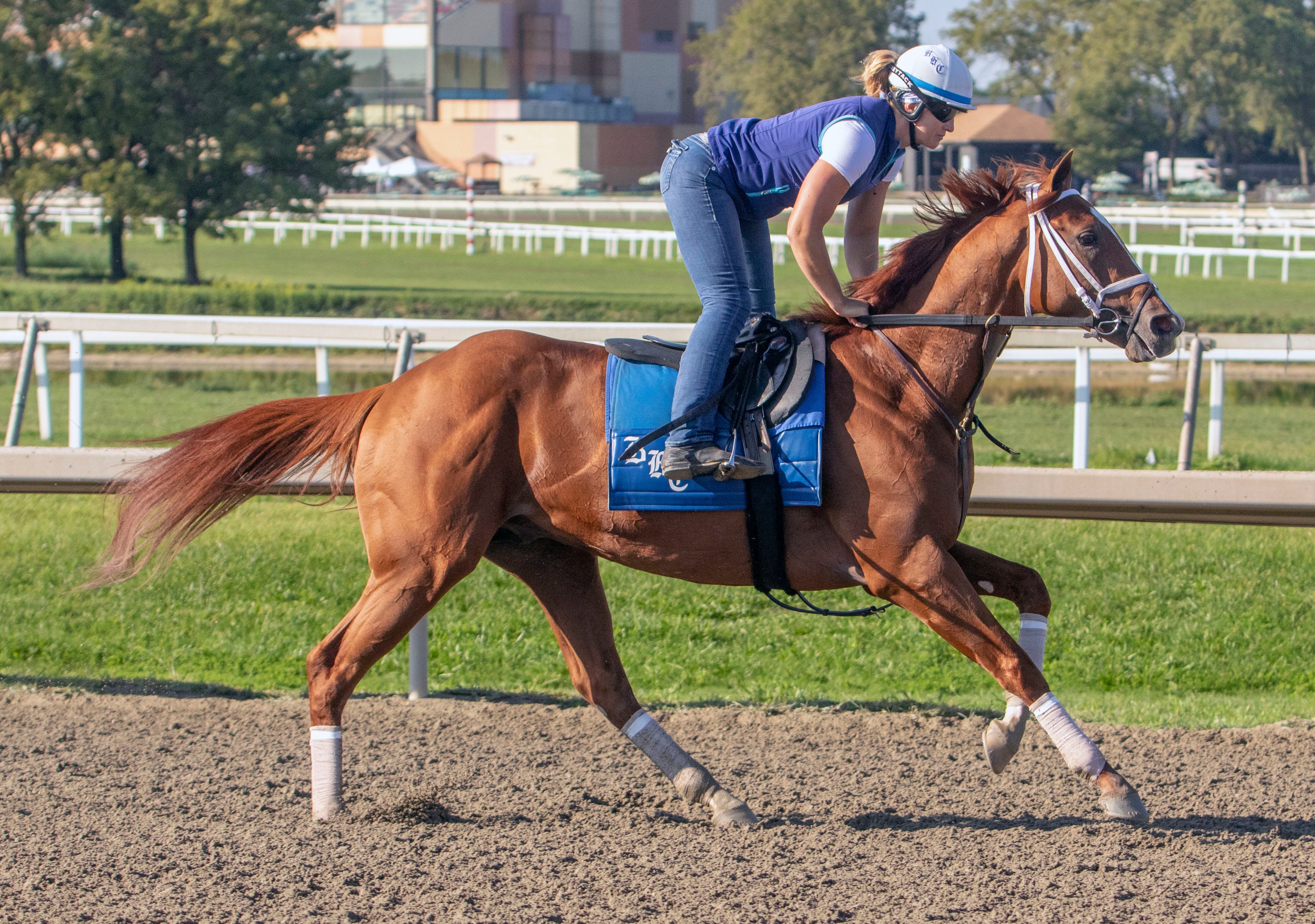 Pennsylvania Derby: Taiba, Cyberknife rematch at heart of 11-horse scramble