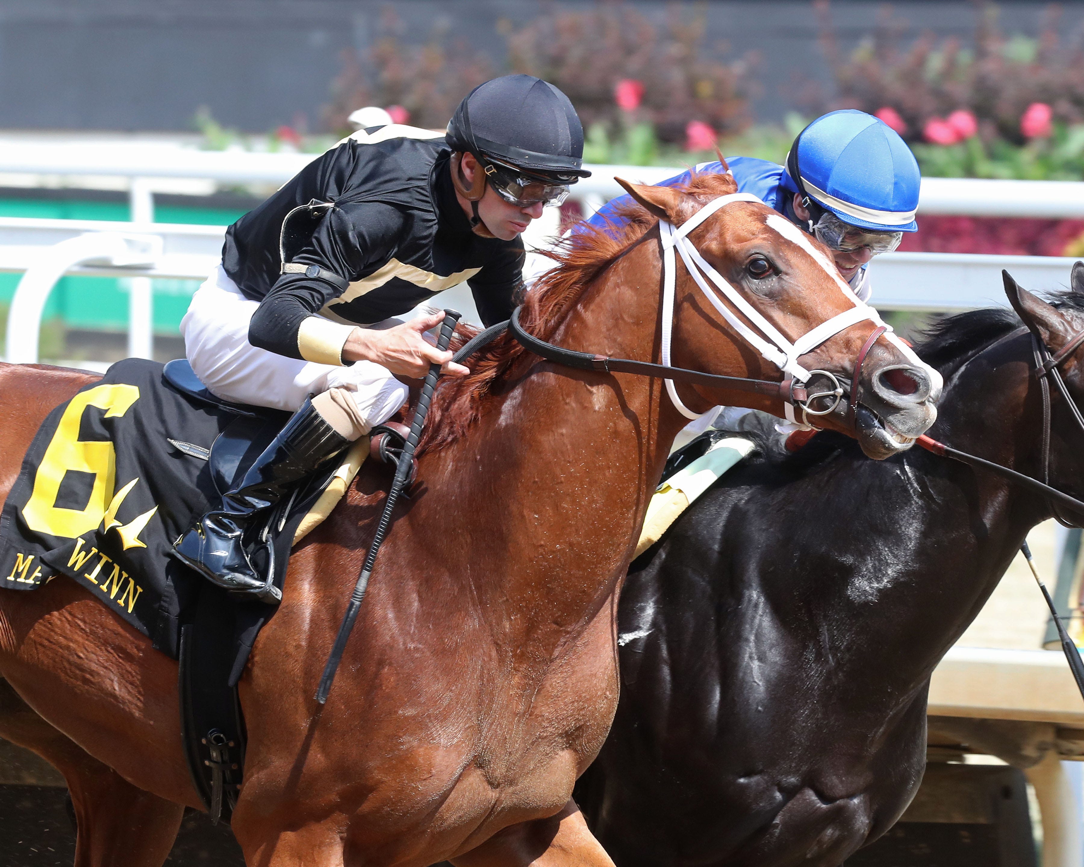 Cyberknife earns career-best 94 Beyer Speed Figure in Matt Winn