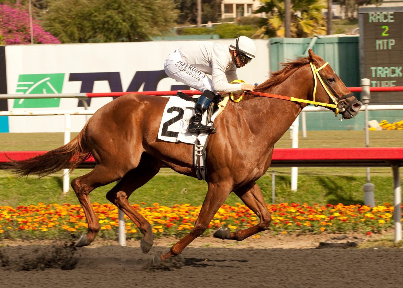 Santa Anita: Midnight Lute distance perfect for Cyclometer