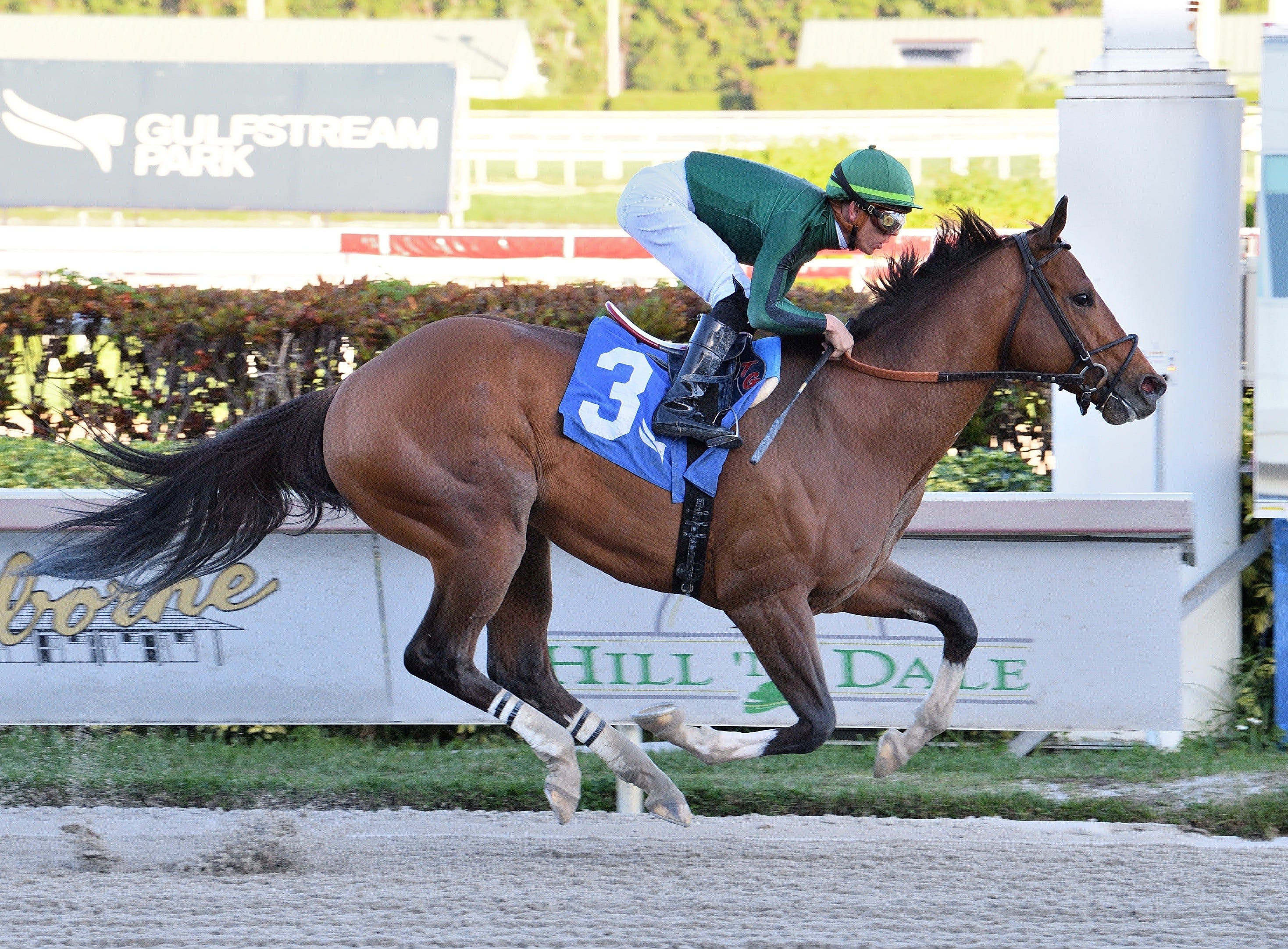 New York-bred Truancy back with fillies while testing open company