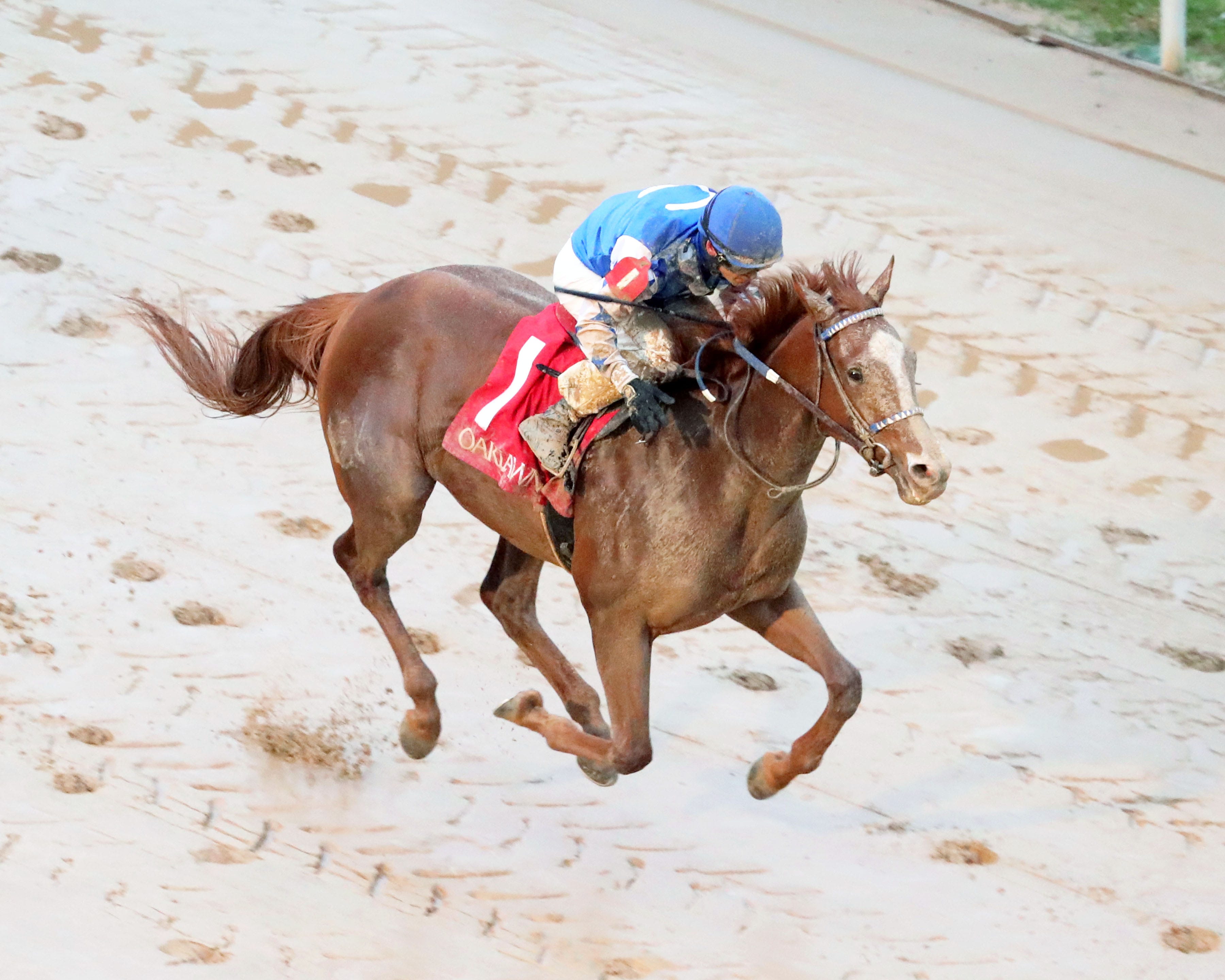 Dash Attack se abrió paso en los metros finales para llevarse el Smarty ...