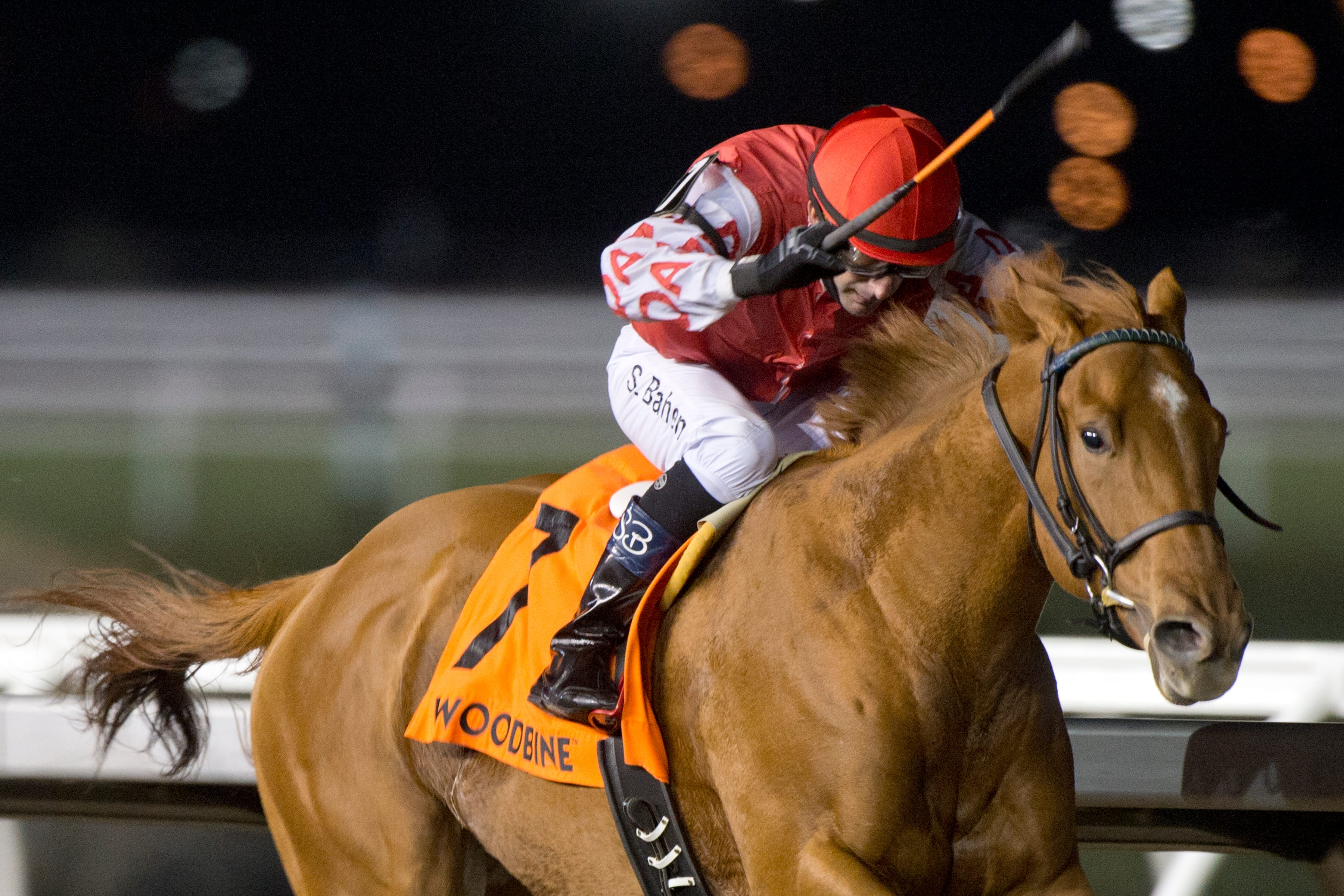 Truebelieve, Red River Rebel meet in third leg of Woodbine Turf Sprint ...