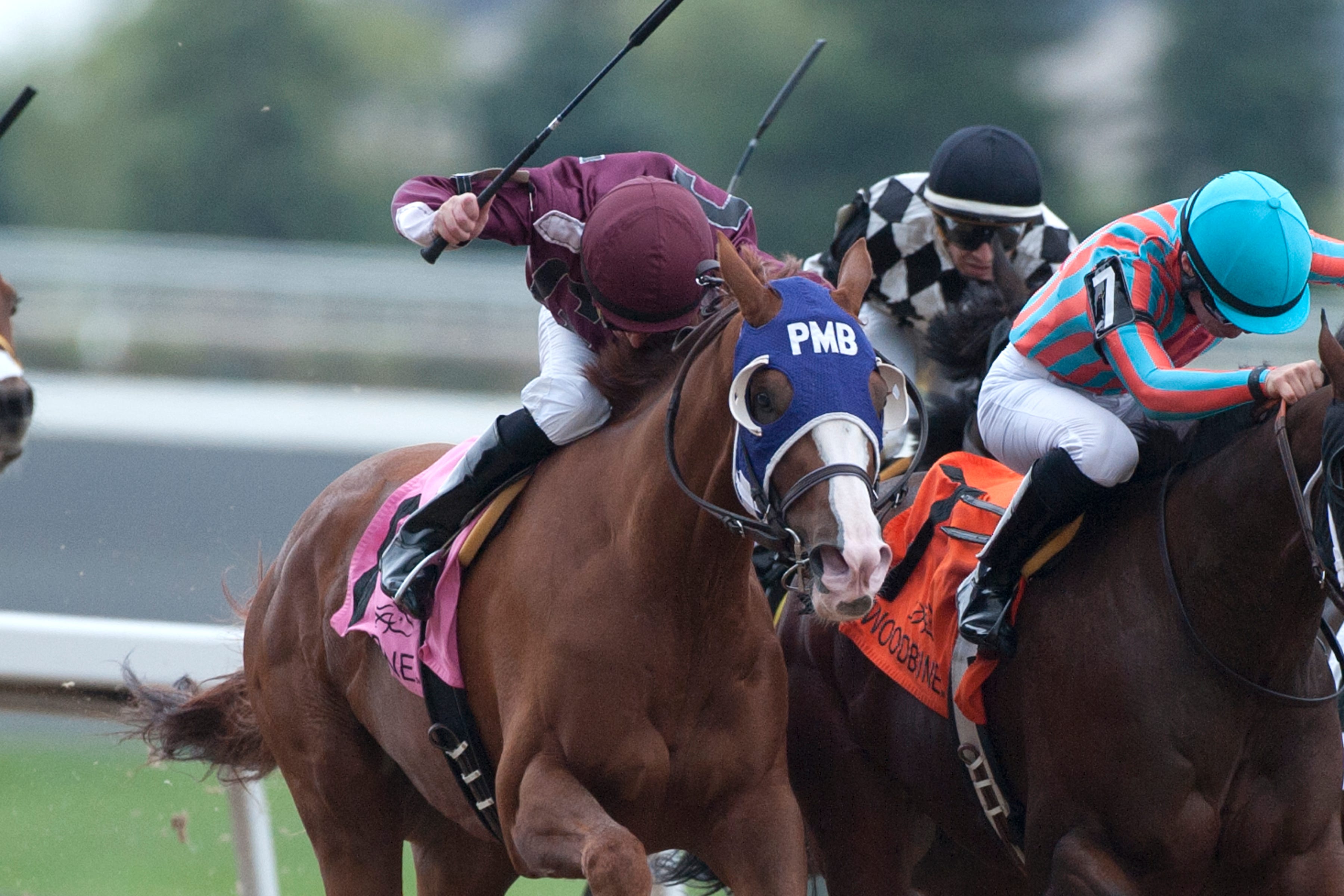 Thor's Rocket takes wide route to Vice Regent triumph