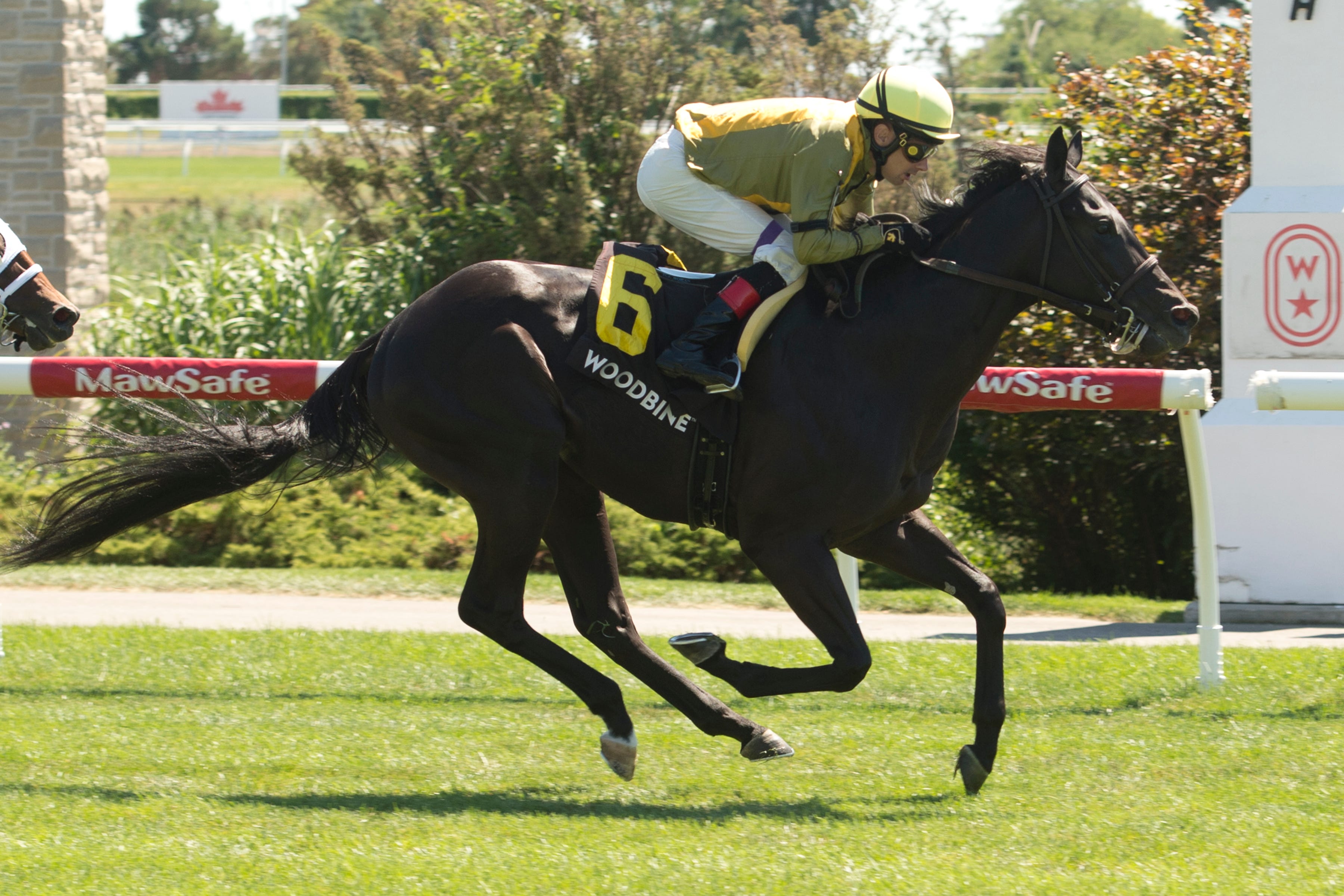 Silent Runner takes advantage of hot pace in Lake Huron Stakes
