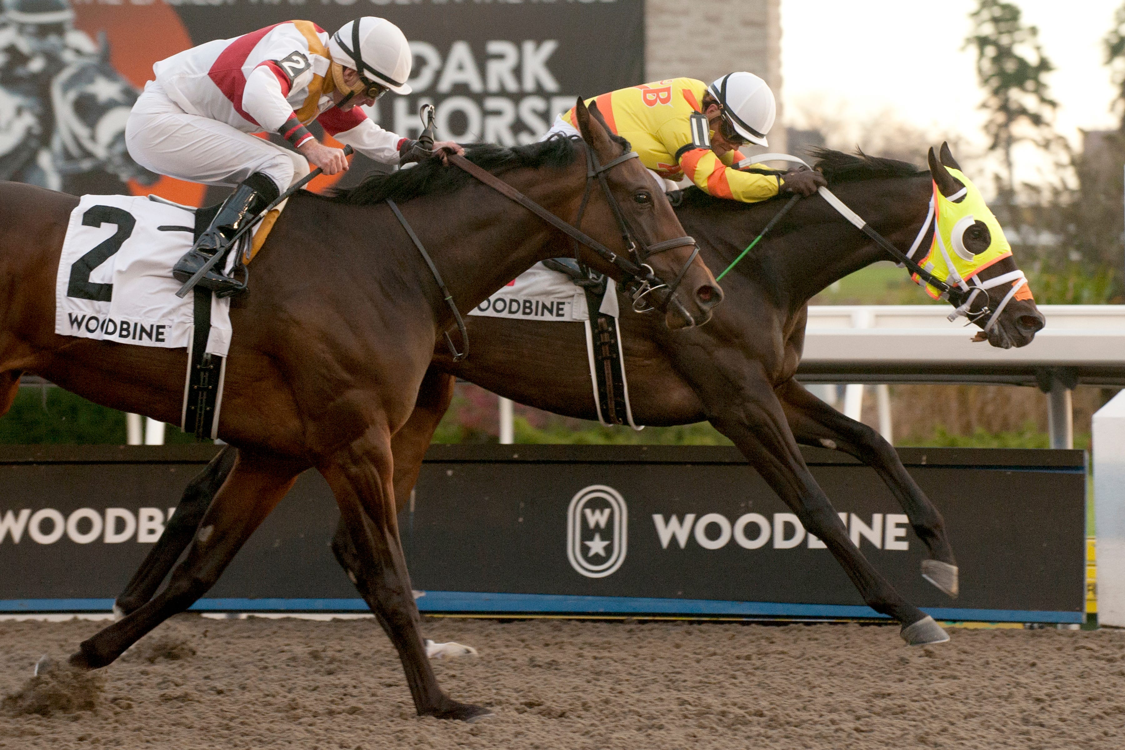 Velocitor ($44.90) surprises in Coronation Futurity
