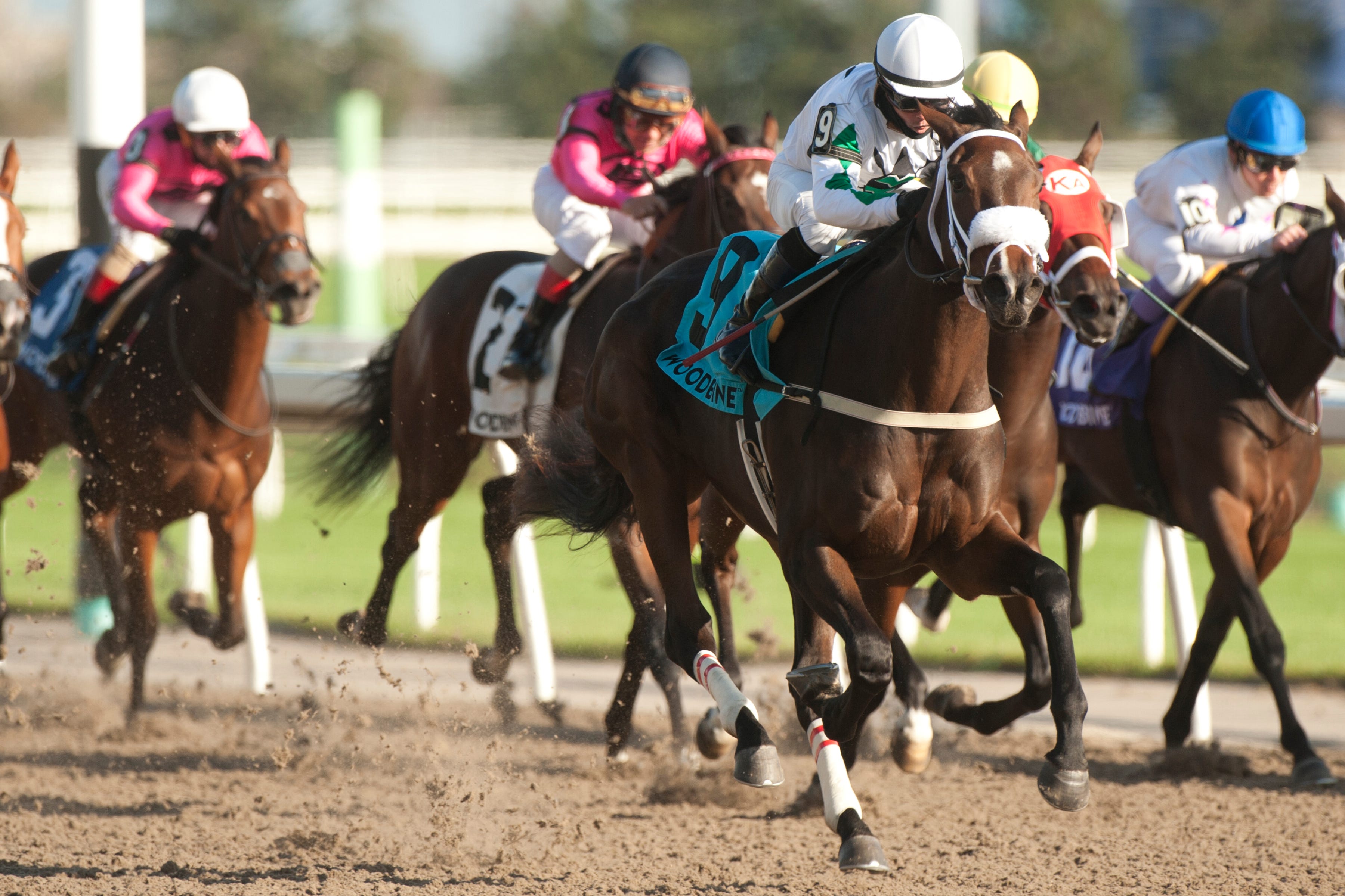 Moira takes Princess Elizabeth with inside rally