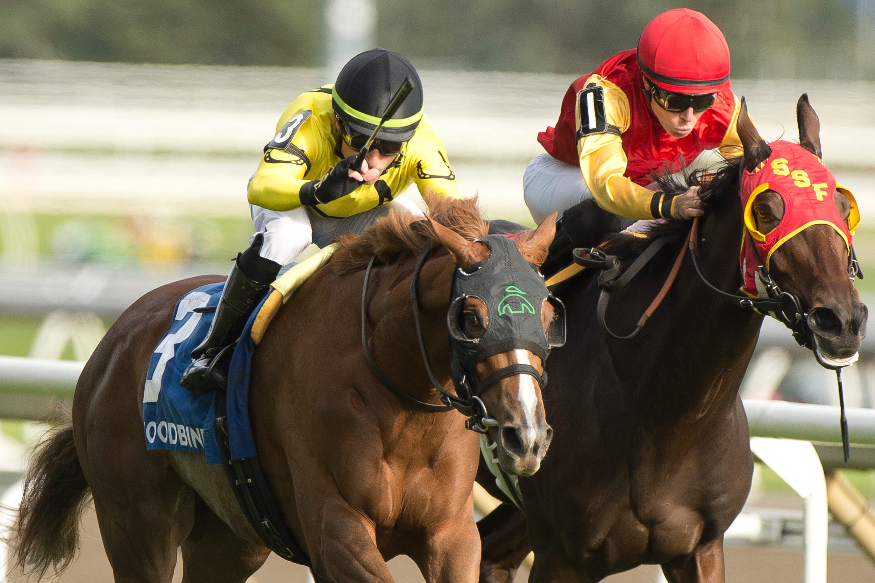 Sister Seagull wears down Swoop to Finish in Wonder Where Stakes