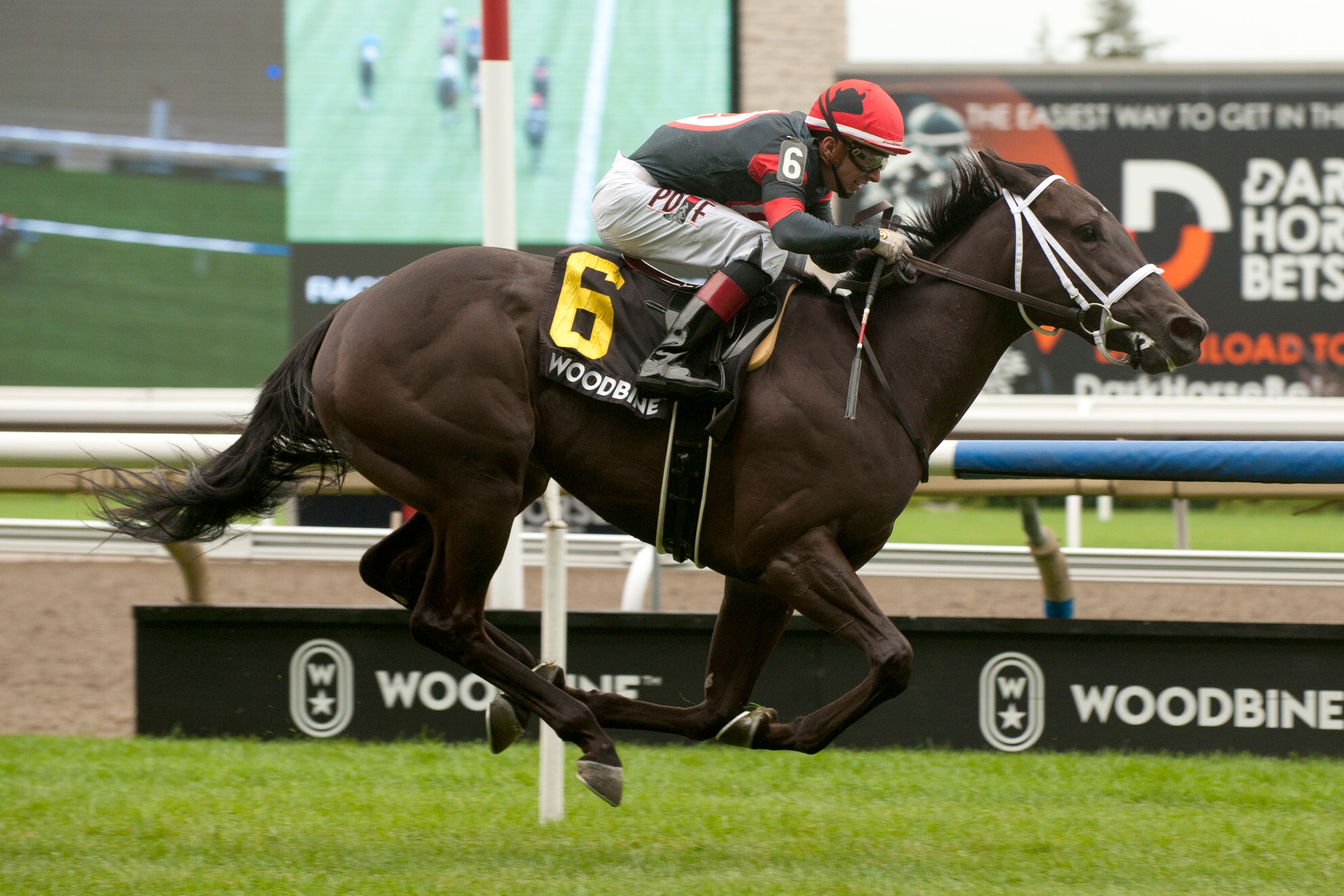 Ancient Spirit makes it look easy in Victorian Queen Stakes