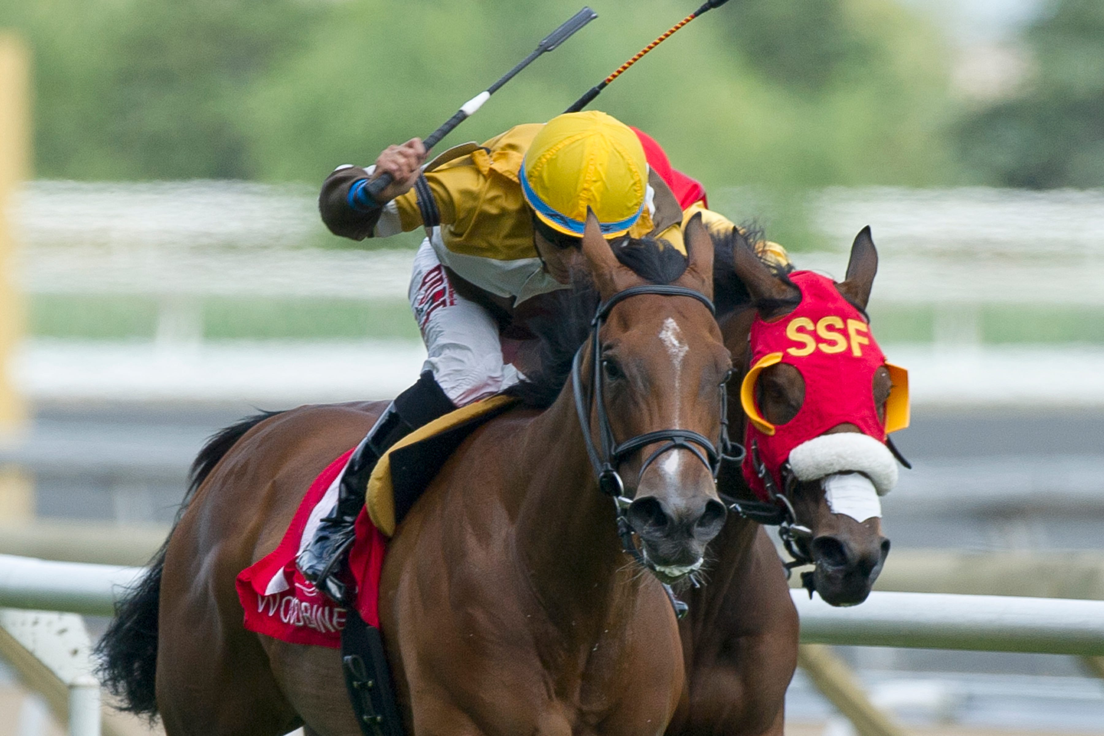 Calling Rhy Rhy stretches out in Carotene Stakes