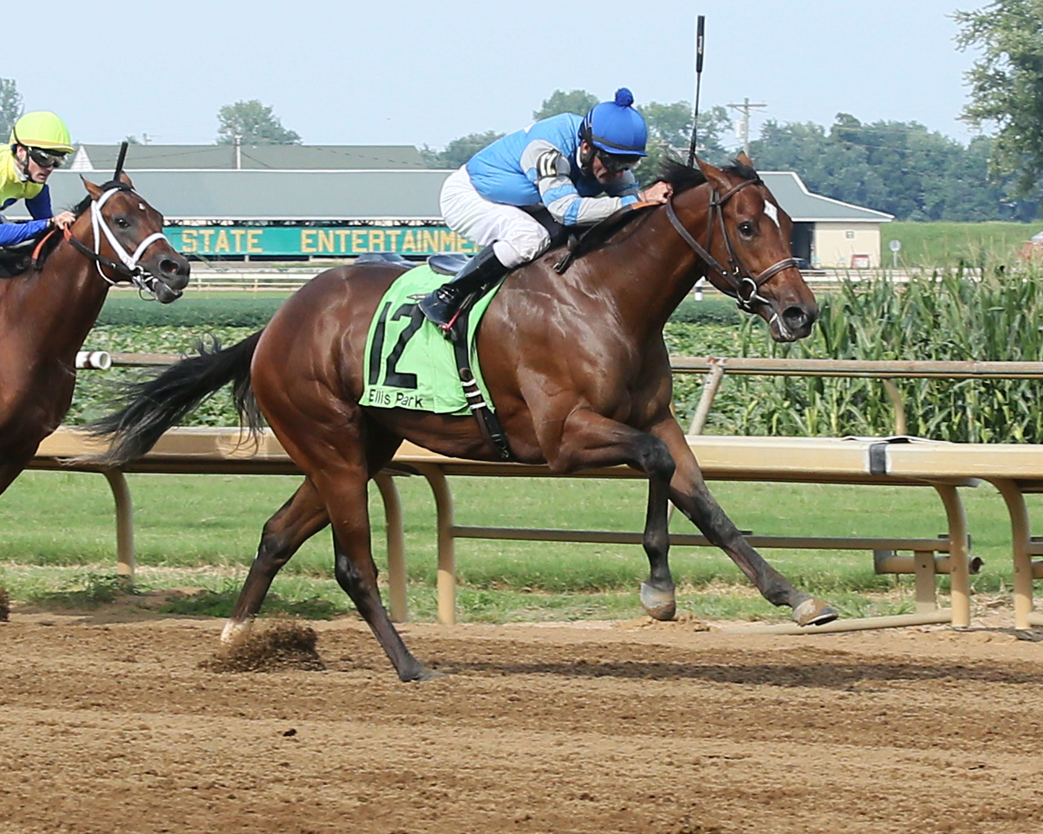 Dak Attack set for 3-year-old debut in Mucho Macho Man