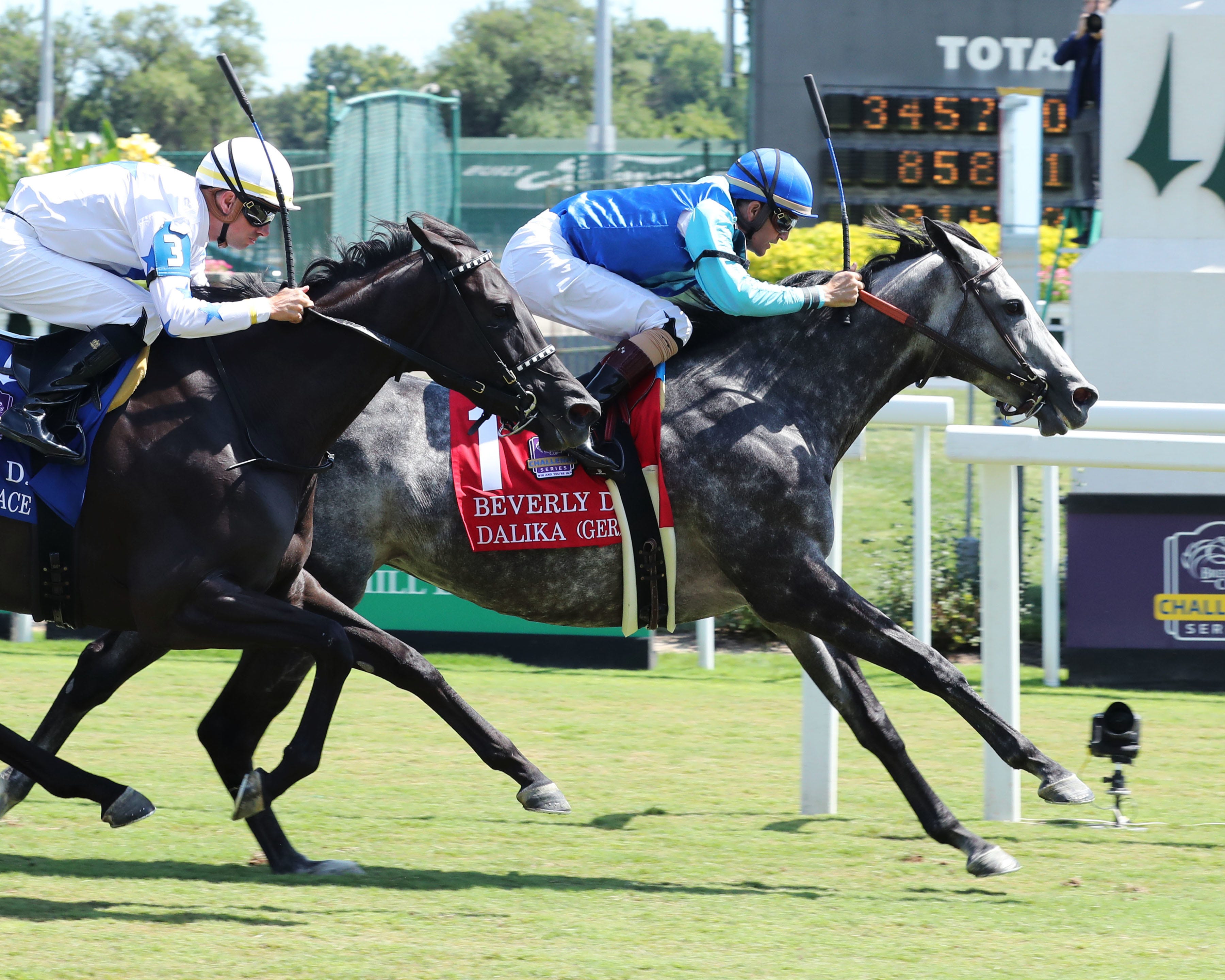 Dalika, Princess Grace face off again in Kentucky Downs Ladies Turf