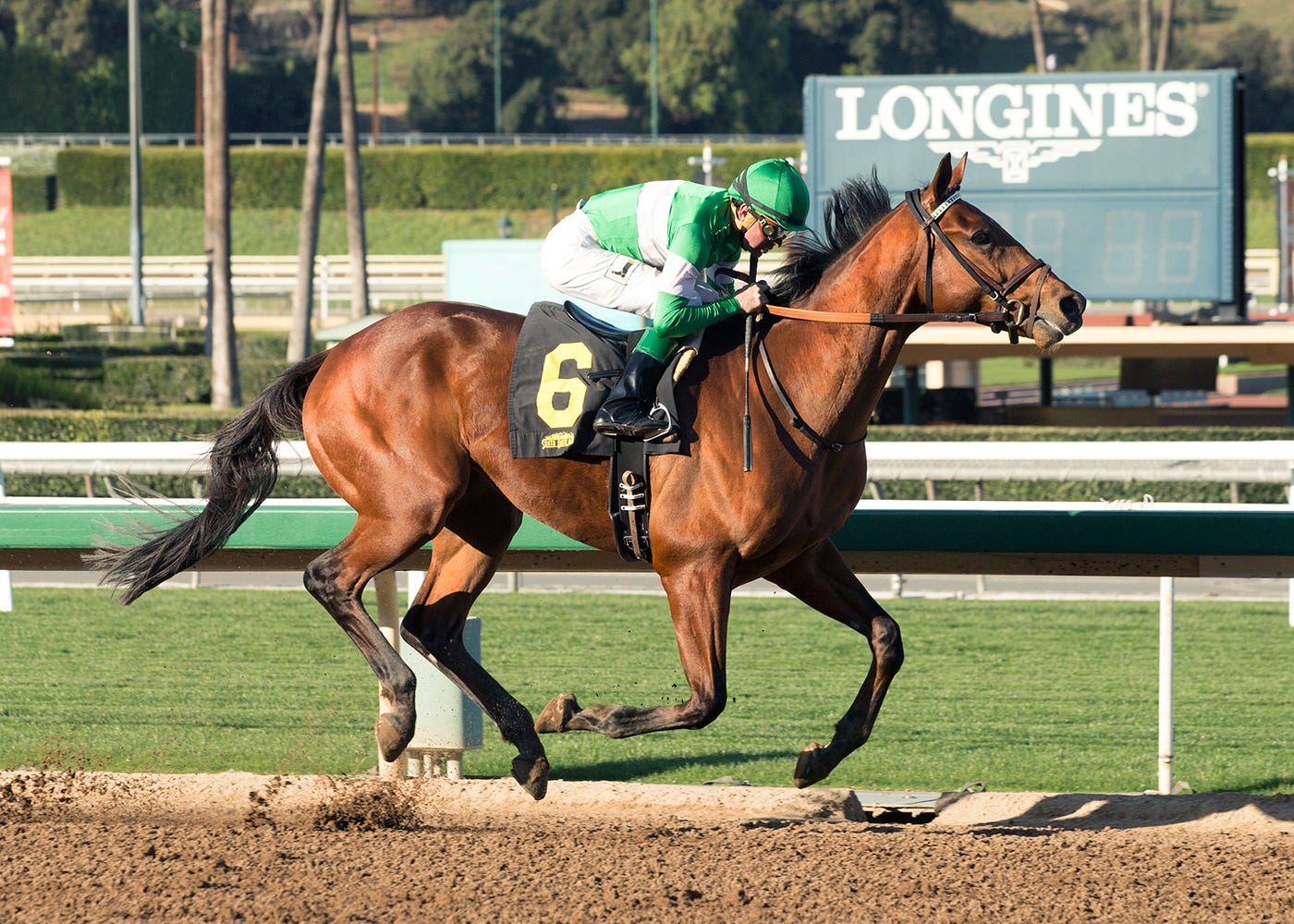 Dalmore changes hands, but still a candidate for the Santa Anita Handicap