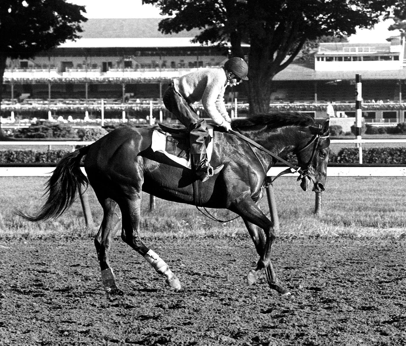 From Tom Fool to Secretariat: Hatton on the legends of racing