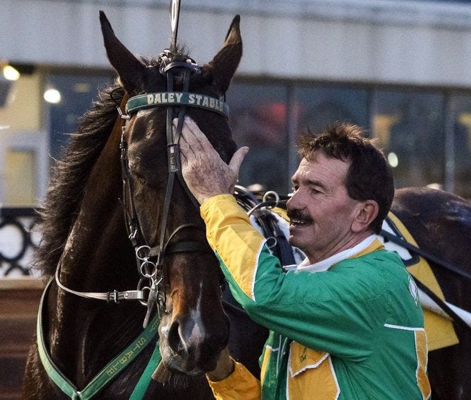 Harness: Profile of trainer/driver Dan Daley