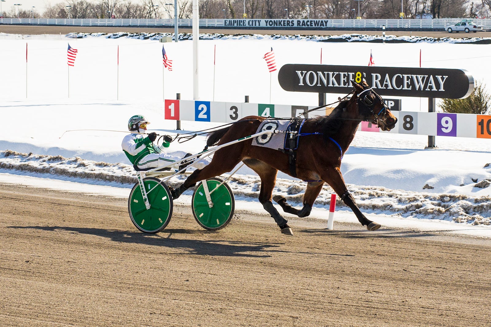 Harness: Profile of driver Dan Dube