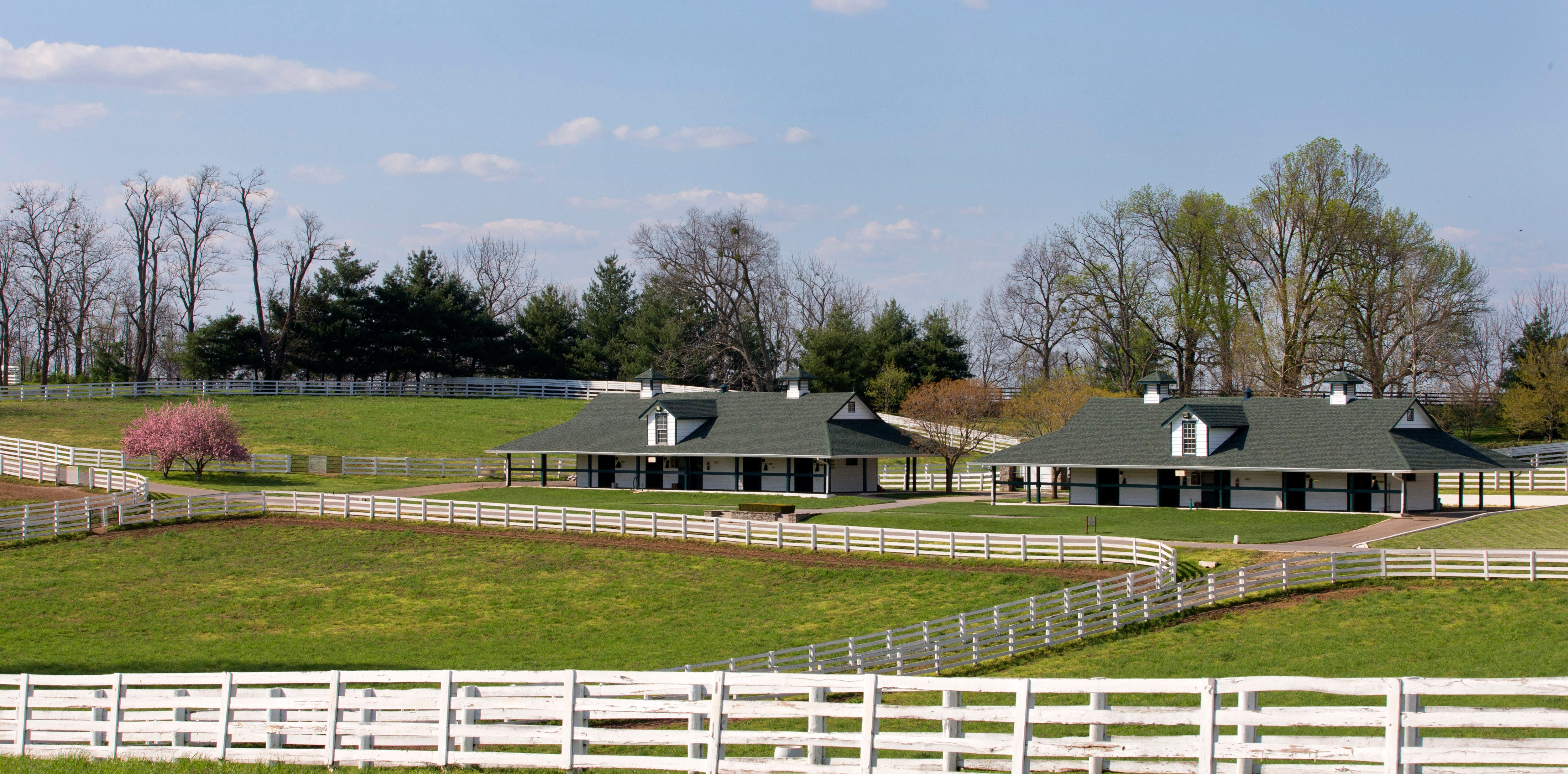 Fencing crucial for farm safety, value
