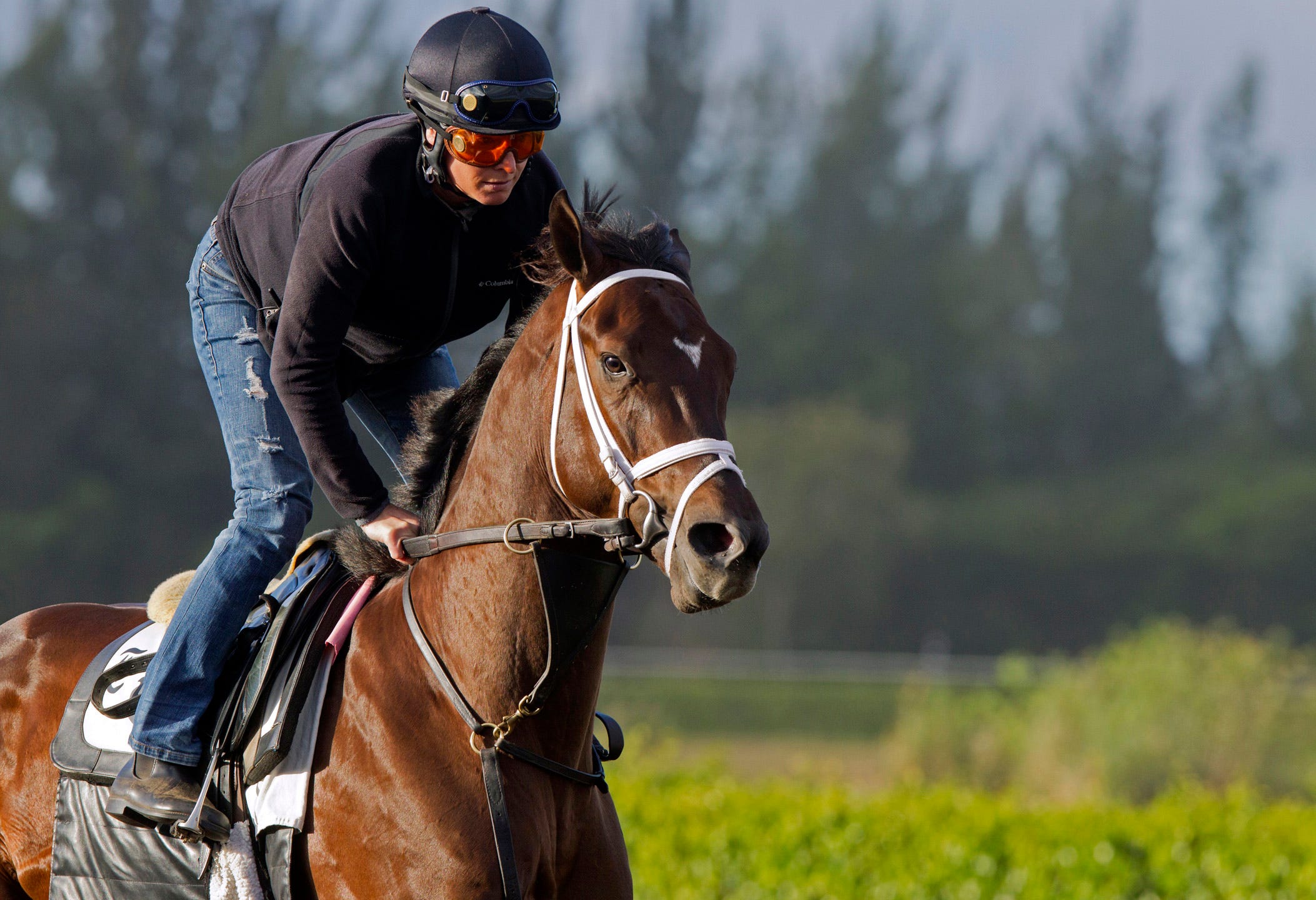 Daredevil está de vuelta en Kentucky alojado en Lane’s End Farm