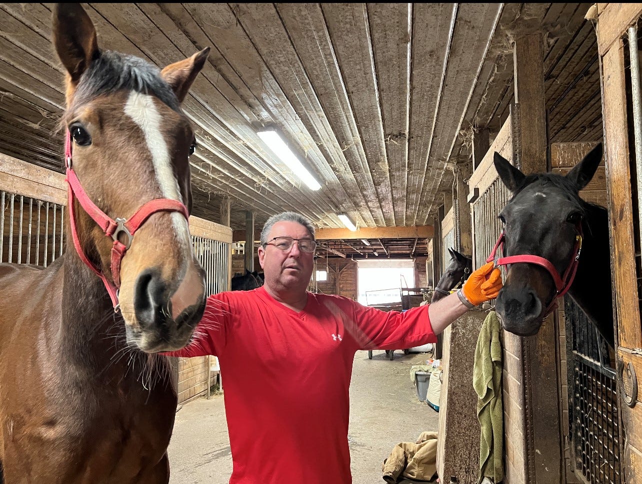 Harness: Profile of trainer Dave Dewhurst