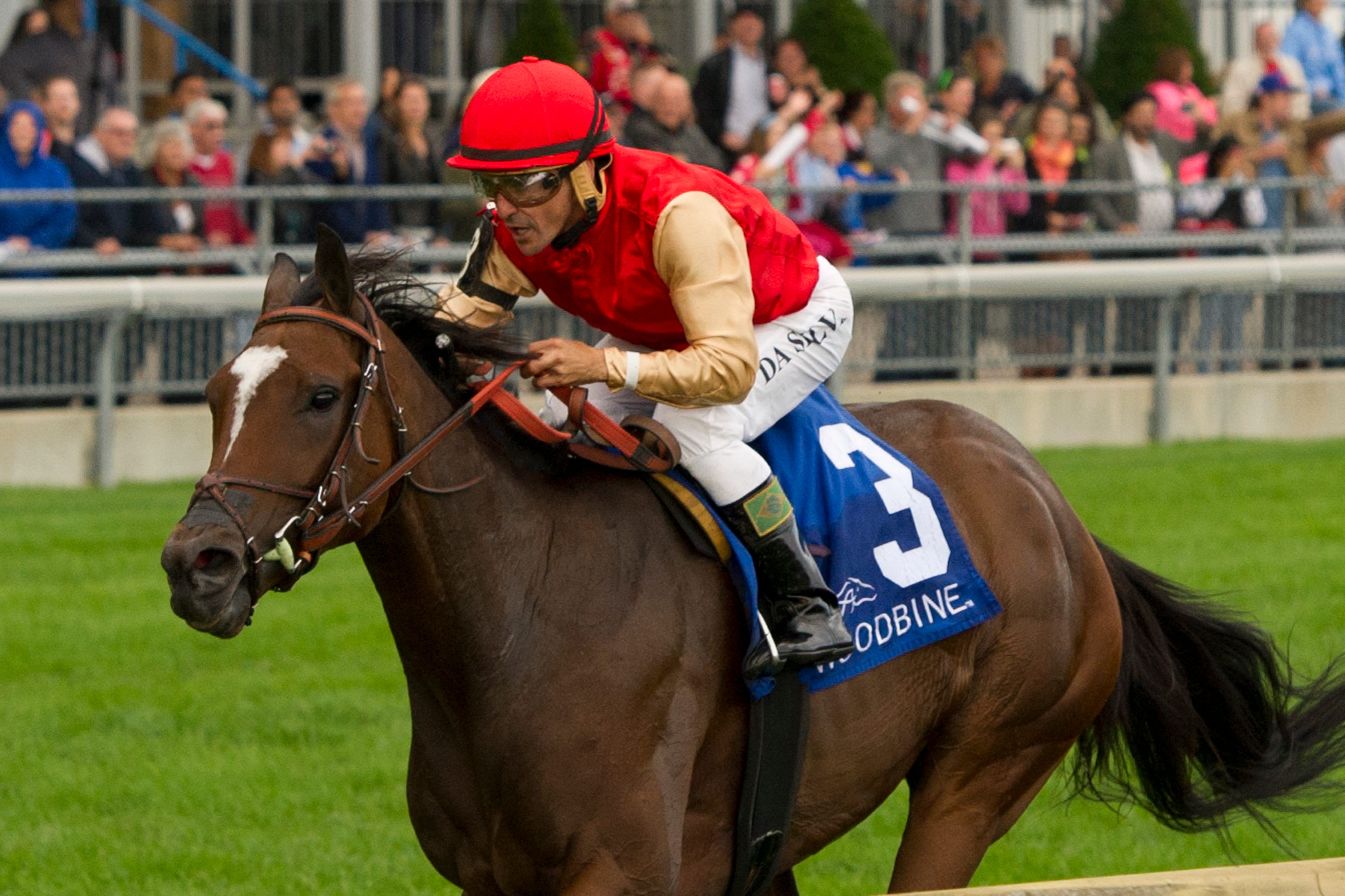 Deceptive Vision comes from off the pace in Canadian