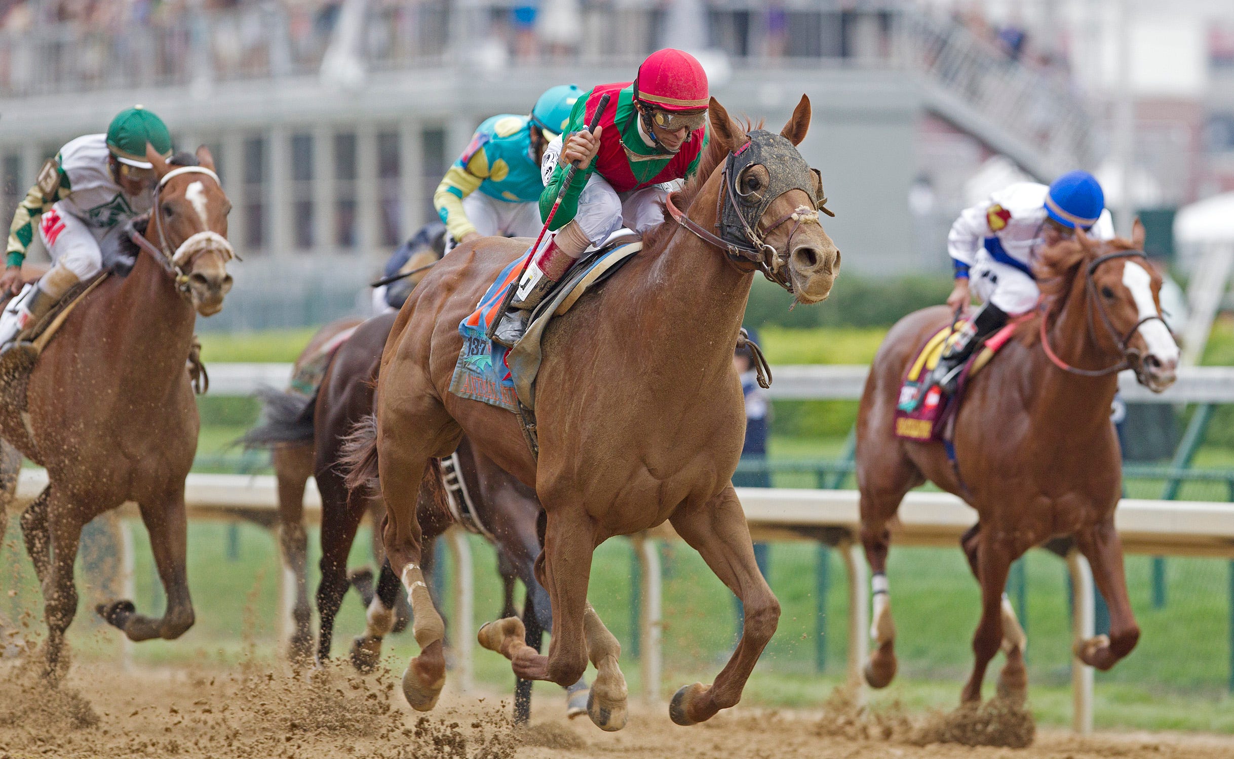 Kentucky Derby: Animal Kingdom outfinishes Nehro