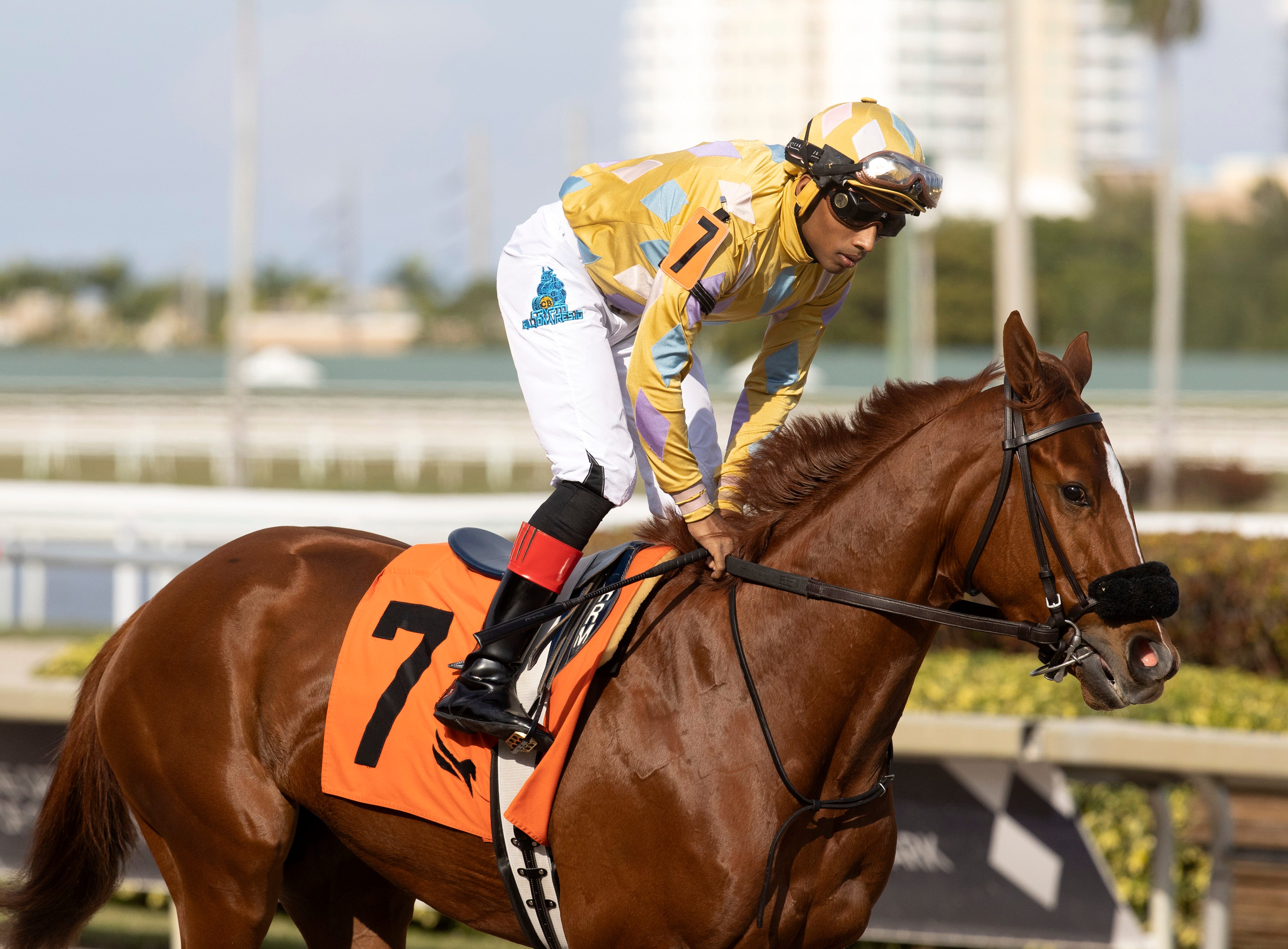 Back-to-back sprint co-features; Diamond Wow class of race 9