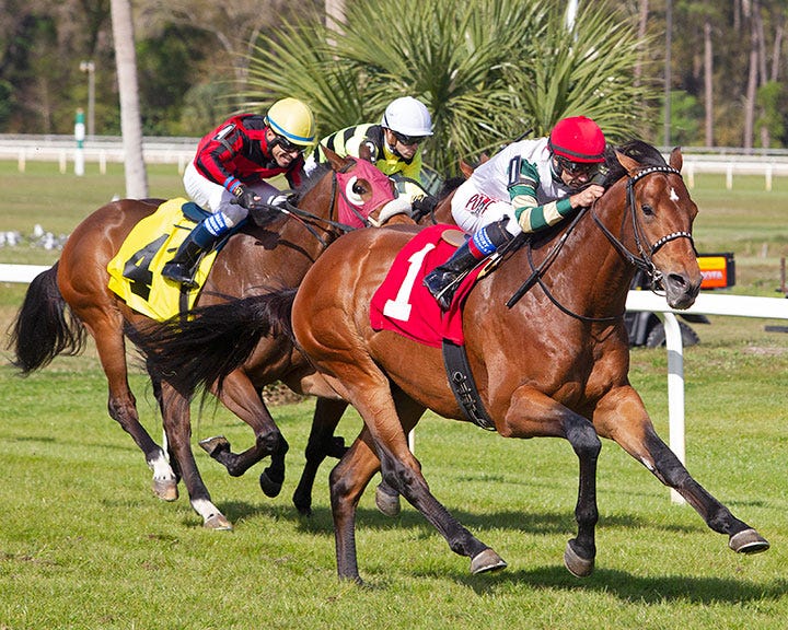 Columbia winner Doc Boy to run in Transylvania Stakes at Keeneland