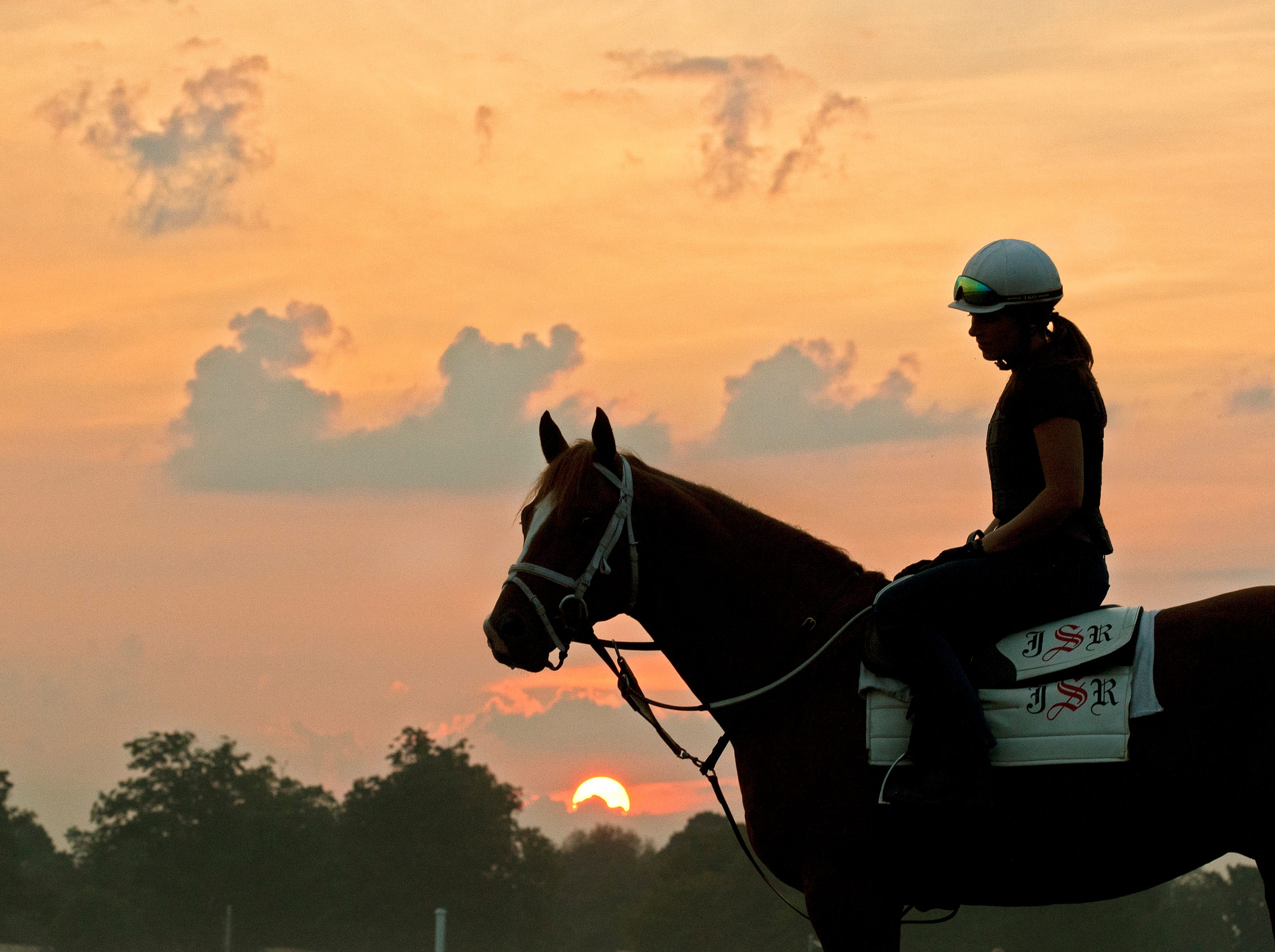 Dolphus, Rachel's half-brother, back for Curlin Stakes