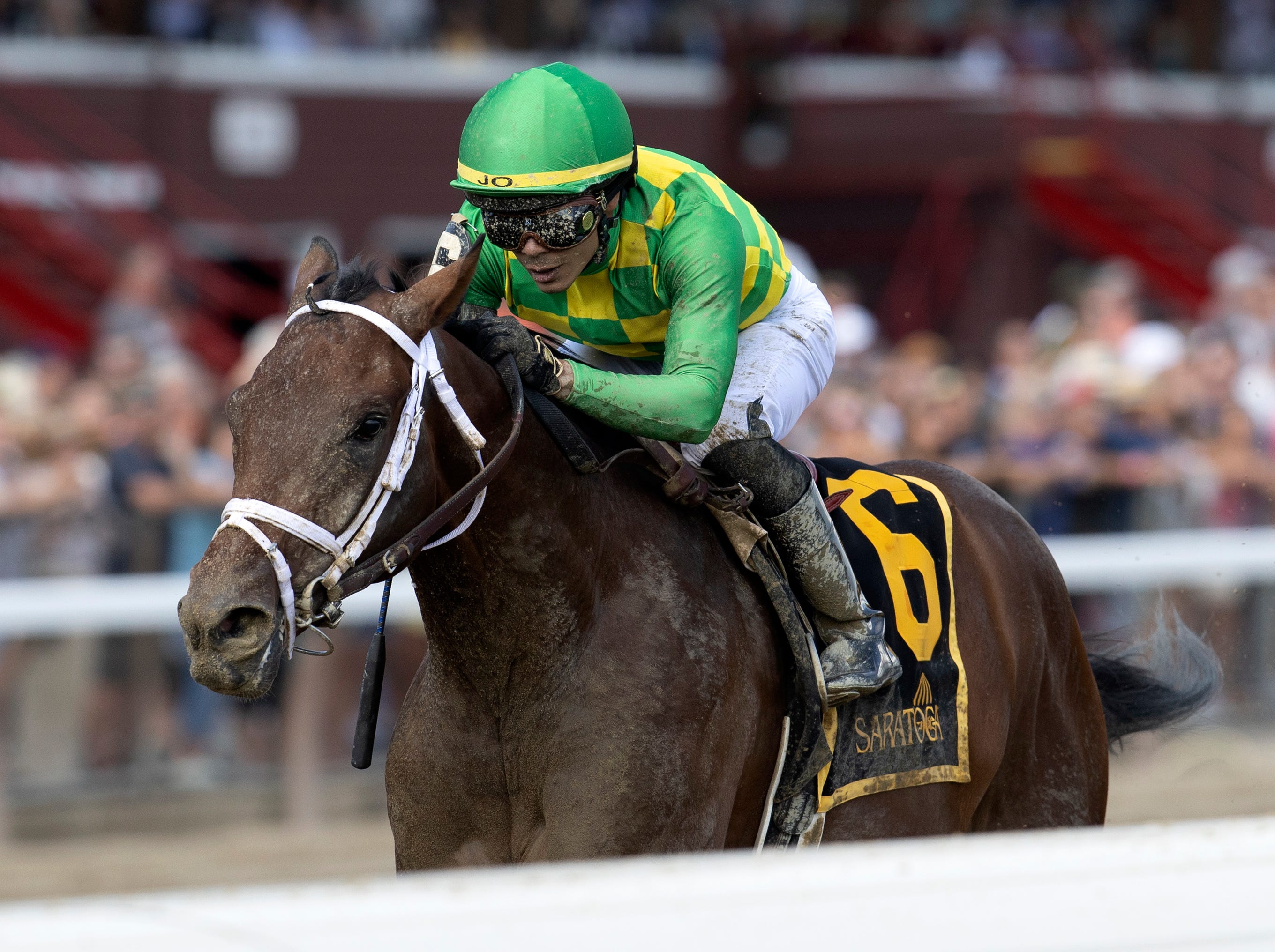 Affirmed Success tops meet opener; two stakes carded for Friday