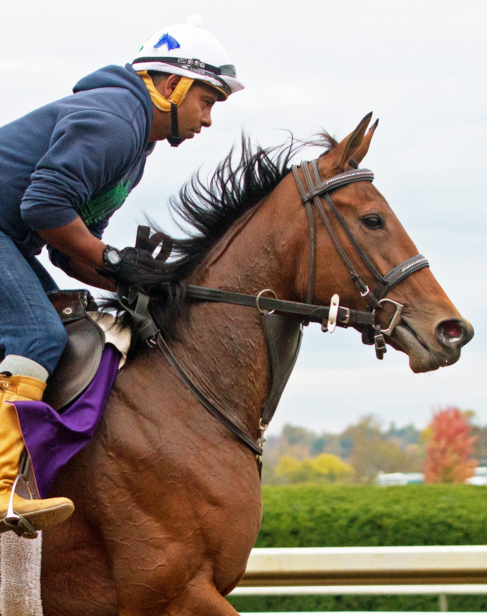 Dothraki Queen a candidate for Fantasy