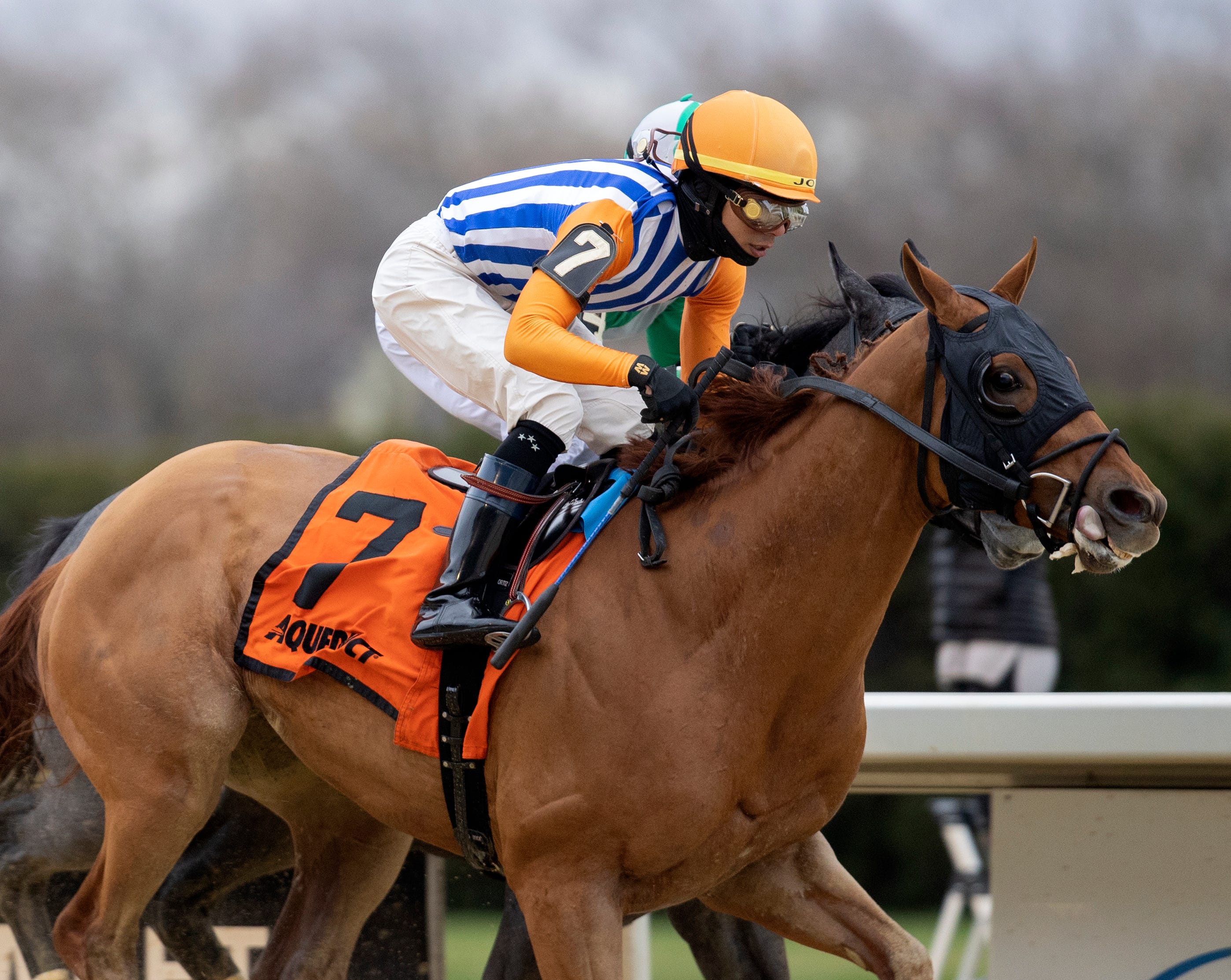 Dubyuhnell, Litigate top list of Sam F. Davis probables