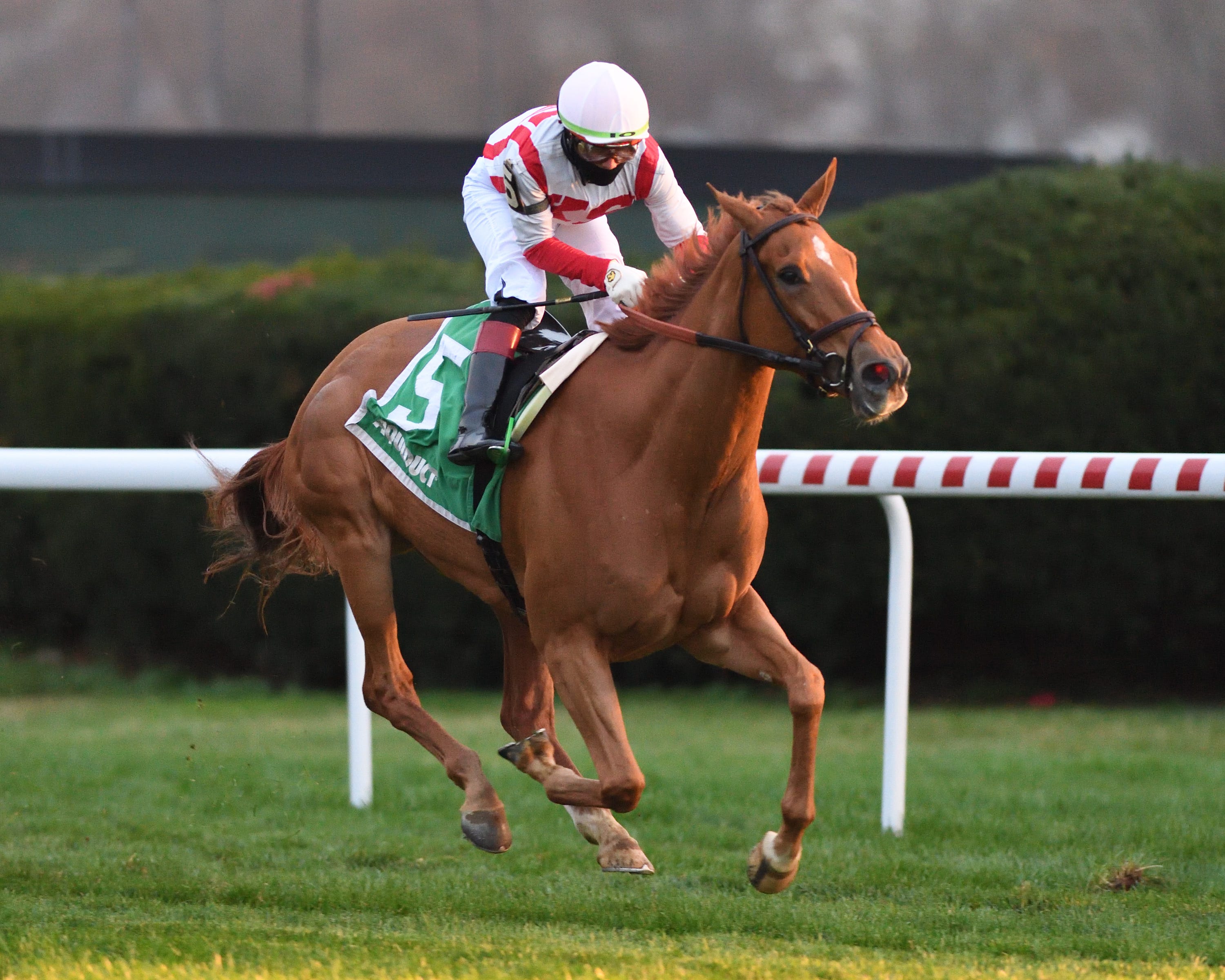 Duopoly takes early lead en route to Winter Memories win