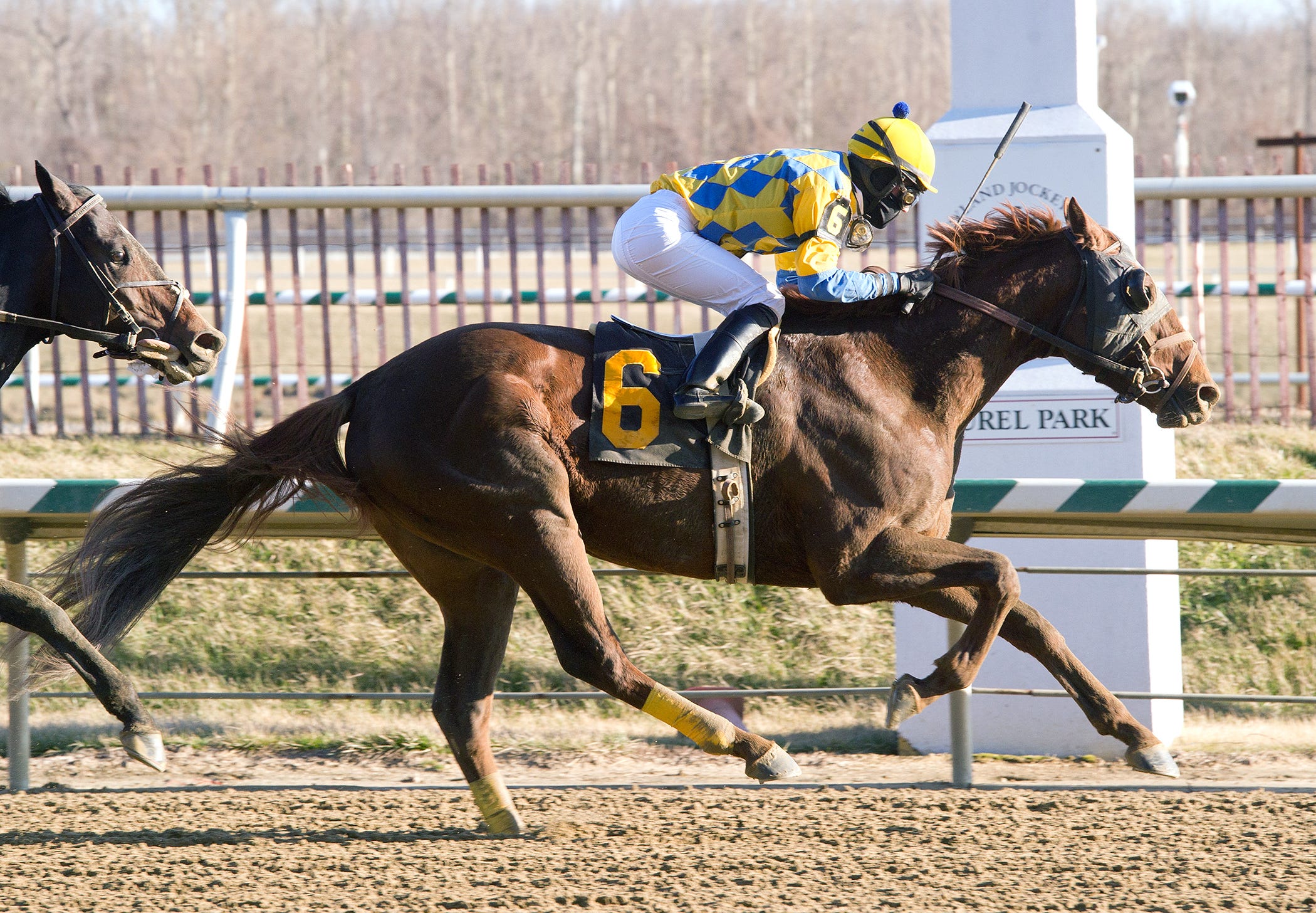 Laurel Park: Dynamic Strike gets test in Private Terms Stakes