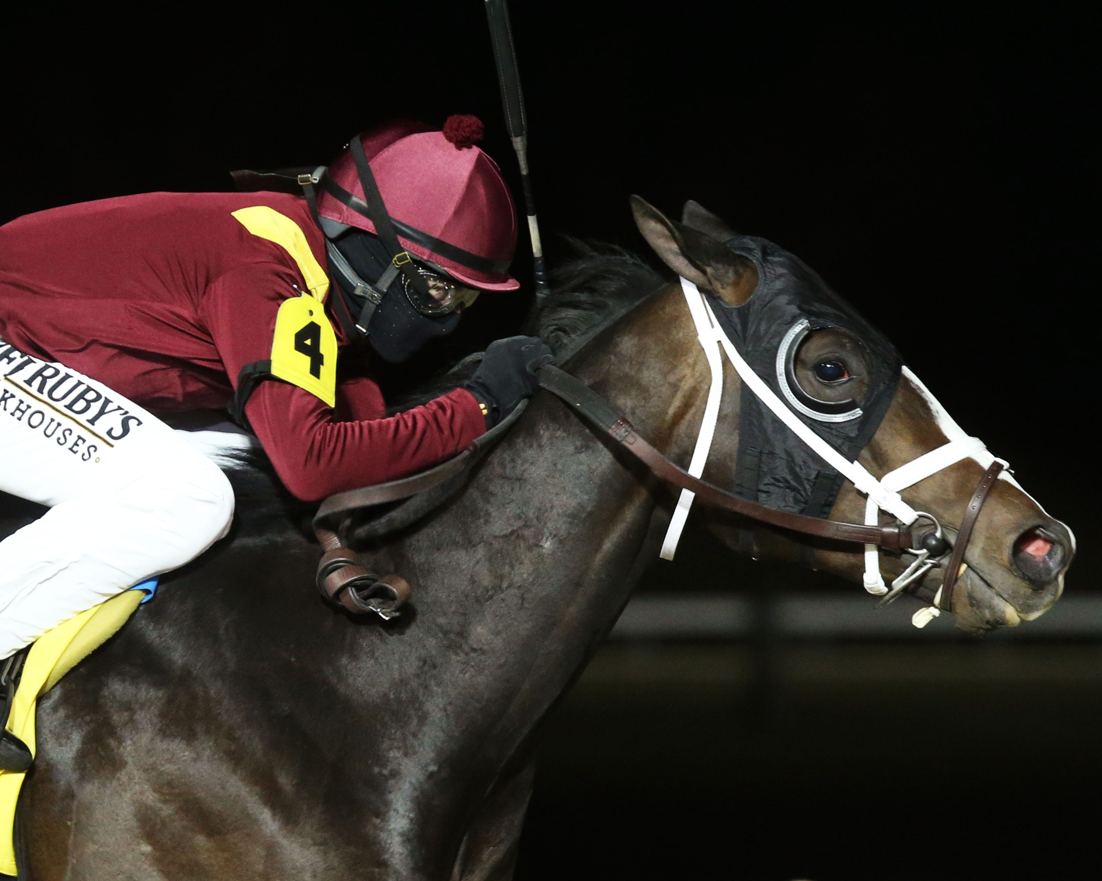 Erase makes it look easy in Leonatus