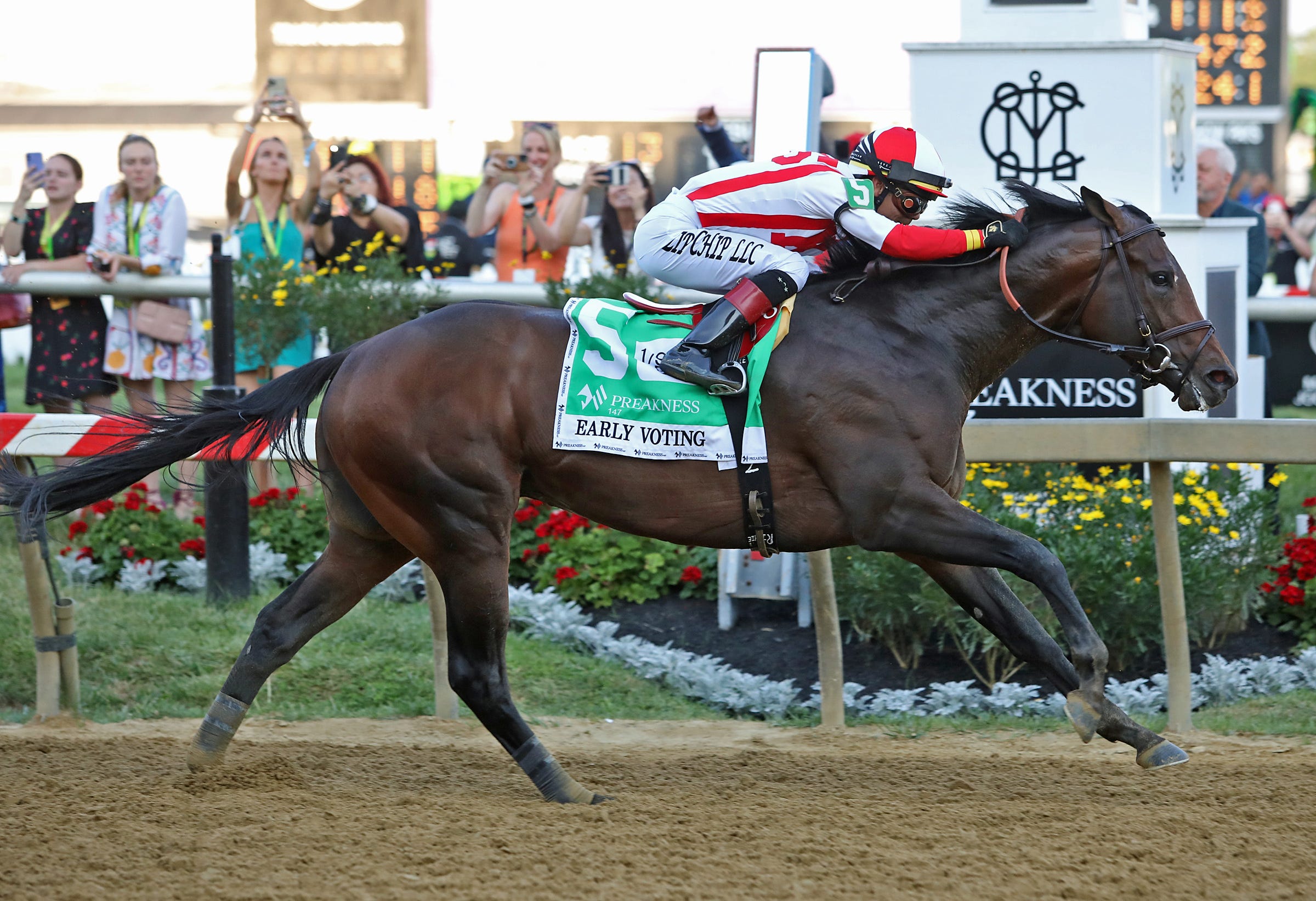 2025 Preakness Results And Payouts - Casey Cynthea