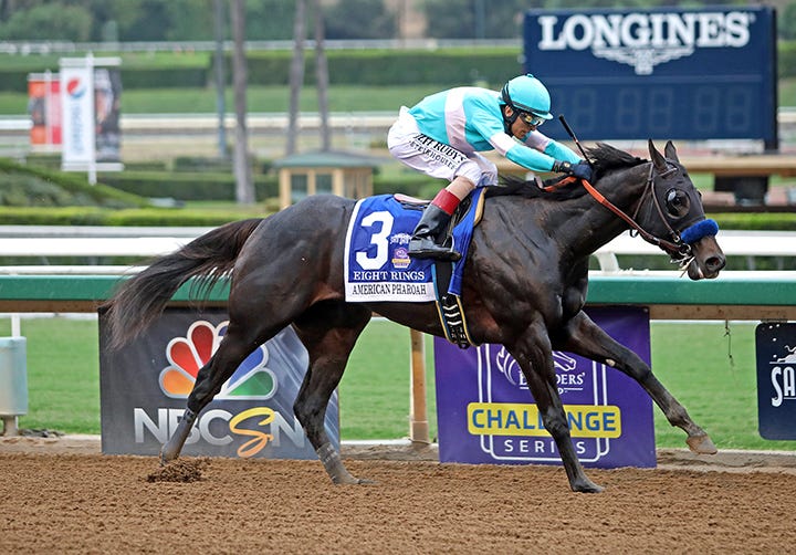 Eight Rings among stallions new to California for 2023