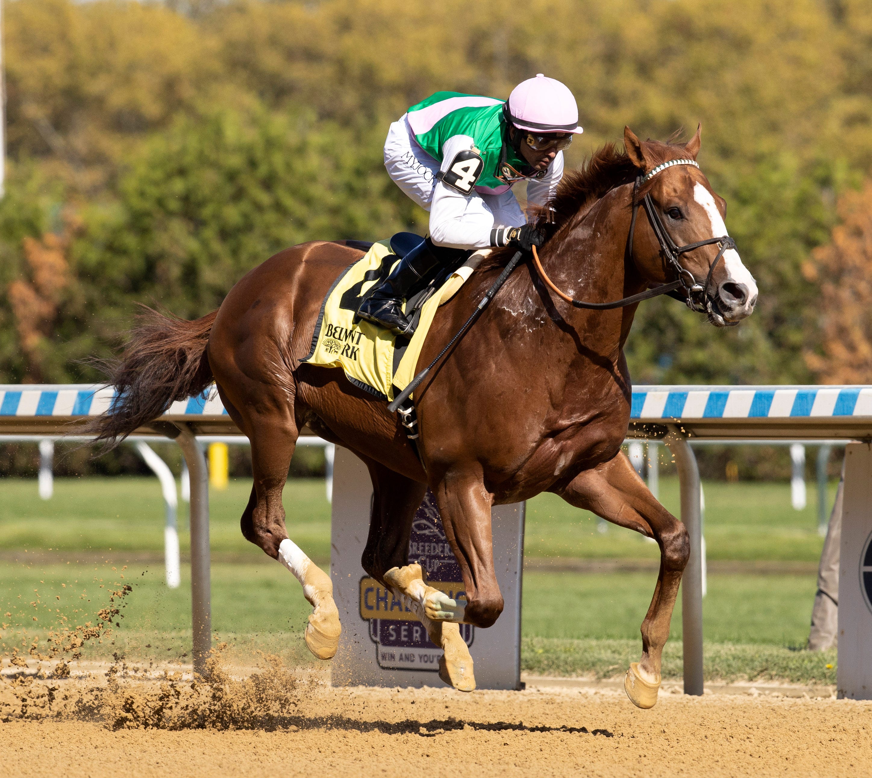 Elite Power continues to roll with easy Vosburgh victory