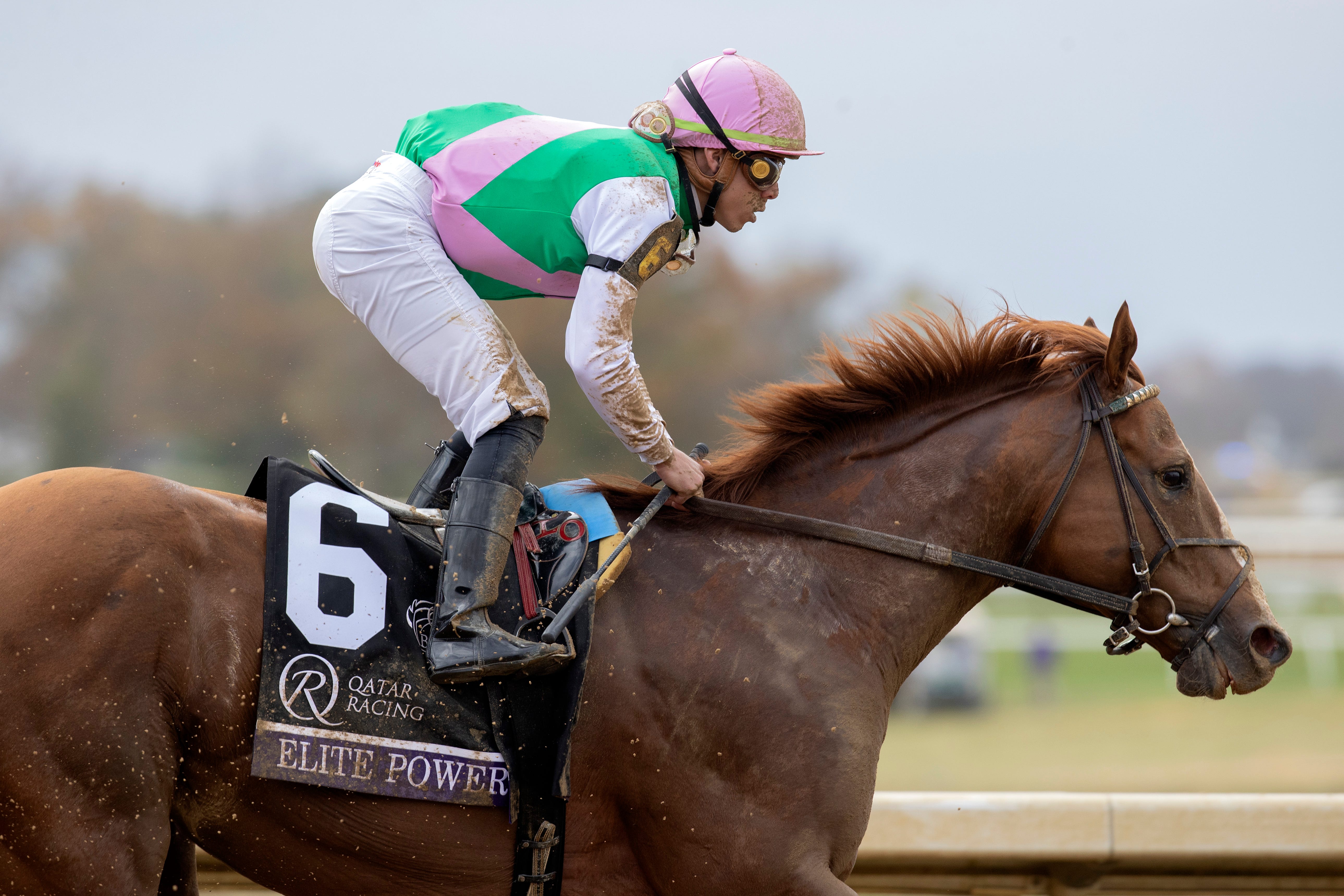 2022 Eclipse Awards: Elite Power