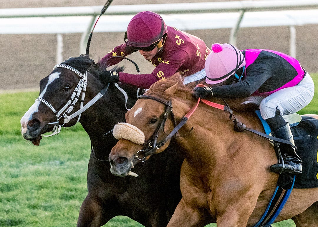 Another turf-sprint party starring Elle Z, Change of Control