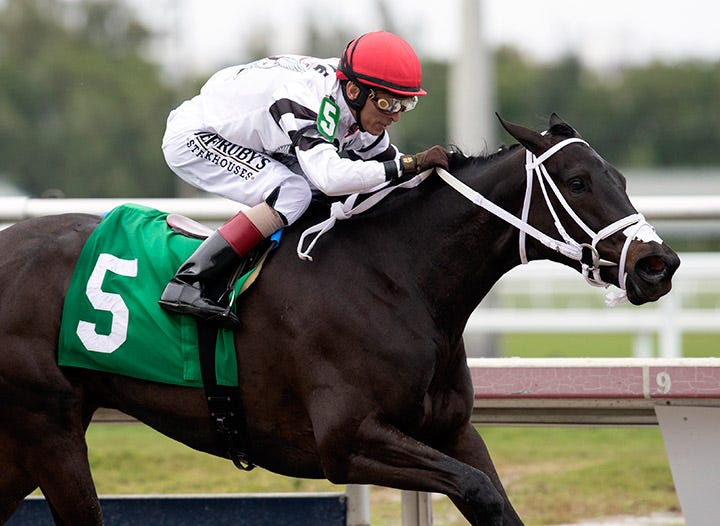 Elusive Molly can add to her story in Monday feature