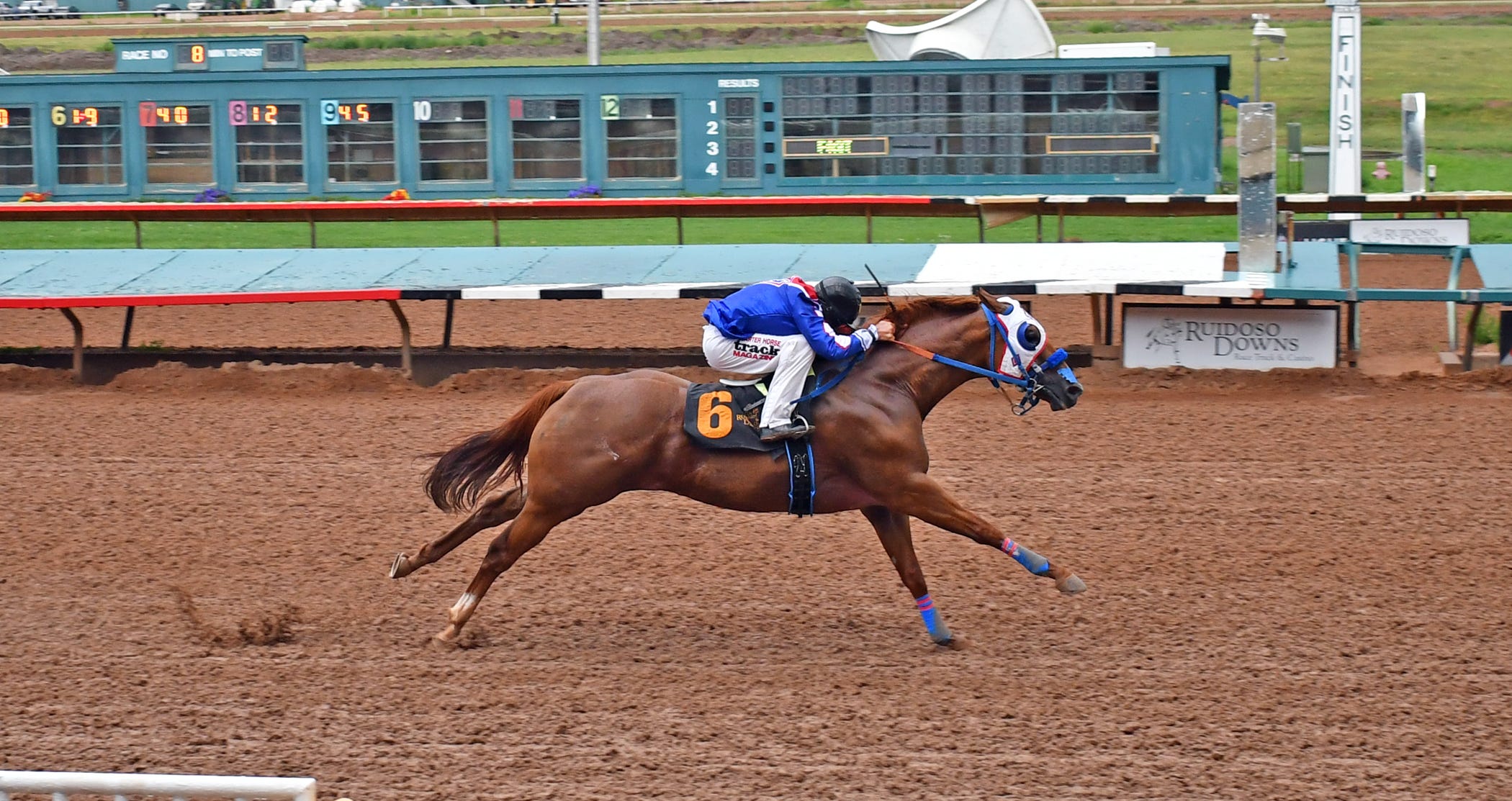 Taylor has right horses to pull off All American Futurity-Champion of ...