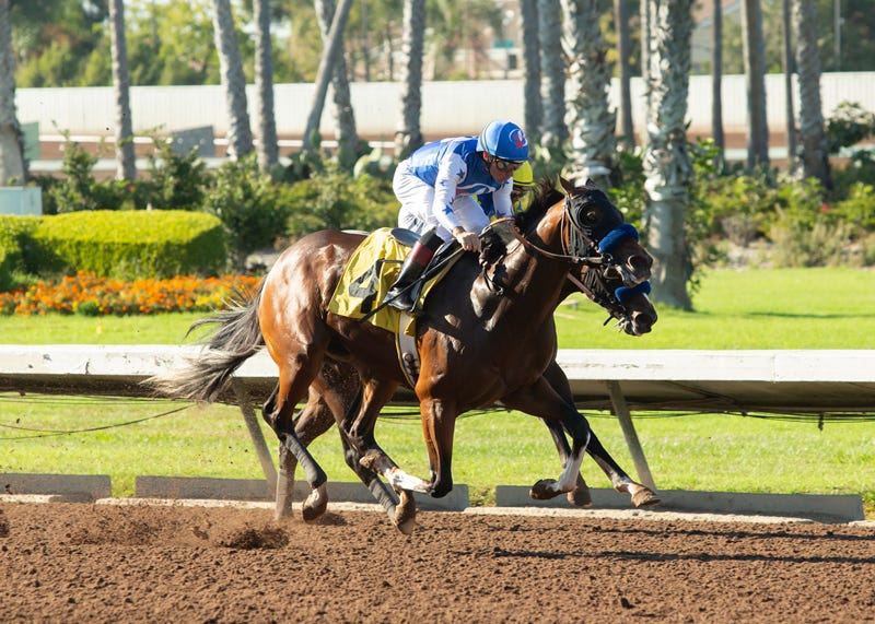 Enbarr has more to show us, Van Dyke says