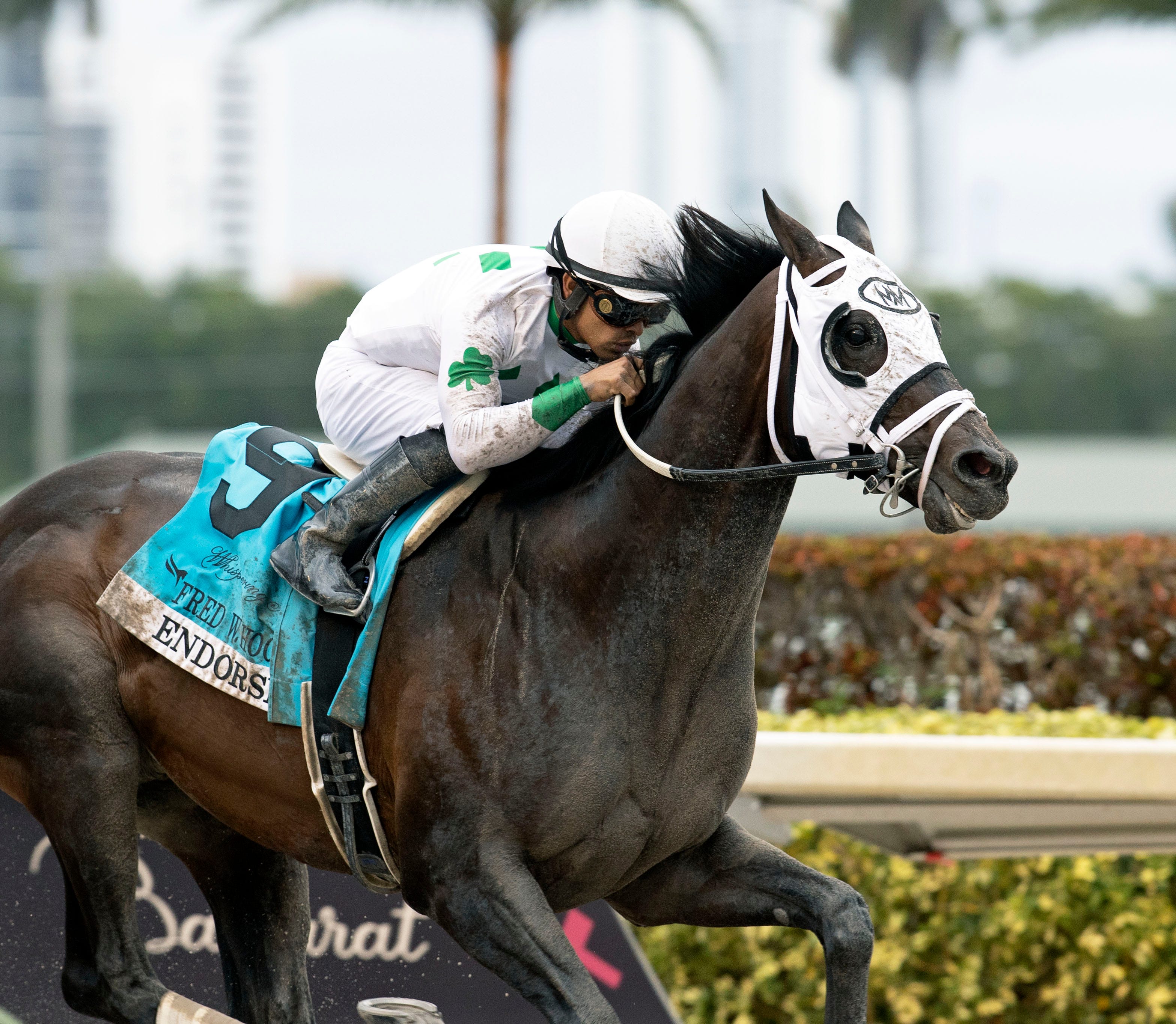 Plan B works out for Endorsed in Fred Hooper