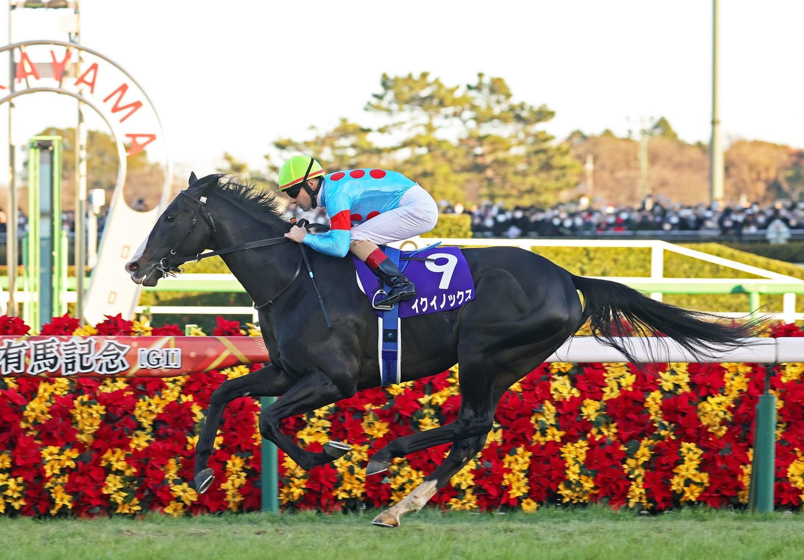 Equinox named Japan's 2022 Horse of the Year