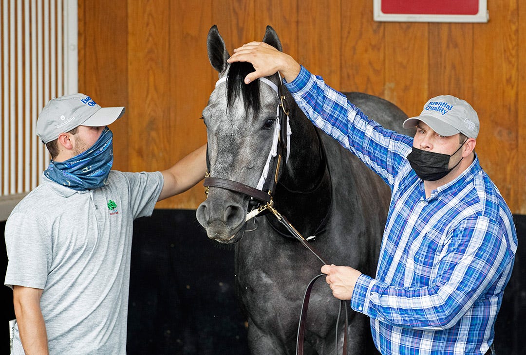 Kentucky Derby rookie Cox too busy with the task at hand to be nervous