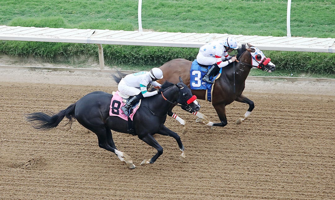 Established just might be able to upset Native Diver Stakes