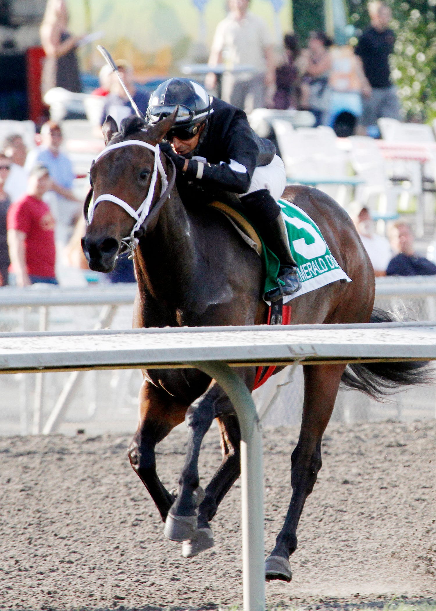 Ethan's Baby a fast filly with a future