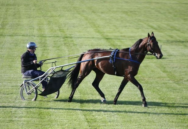 Yonkers: Westerink enjoying ride with International Trot starter Etonnant