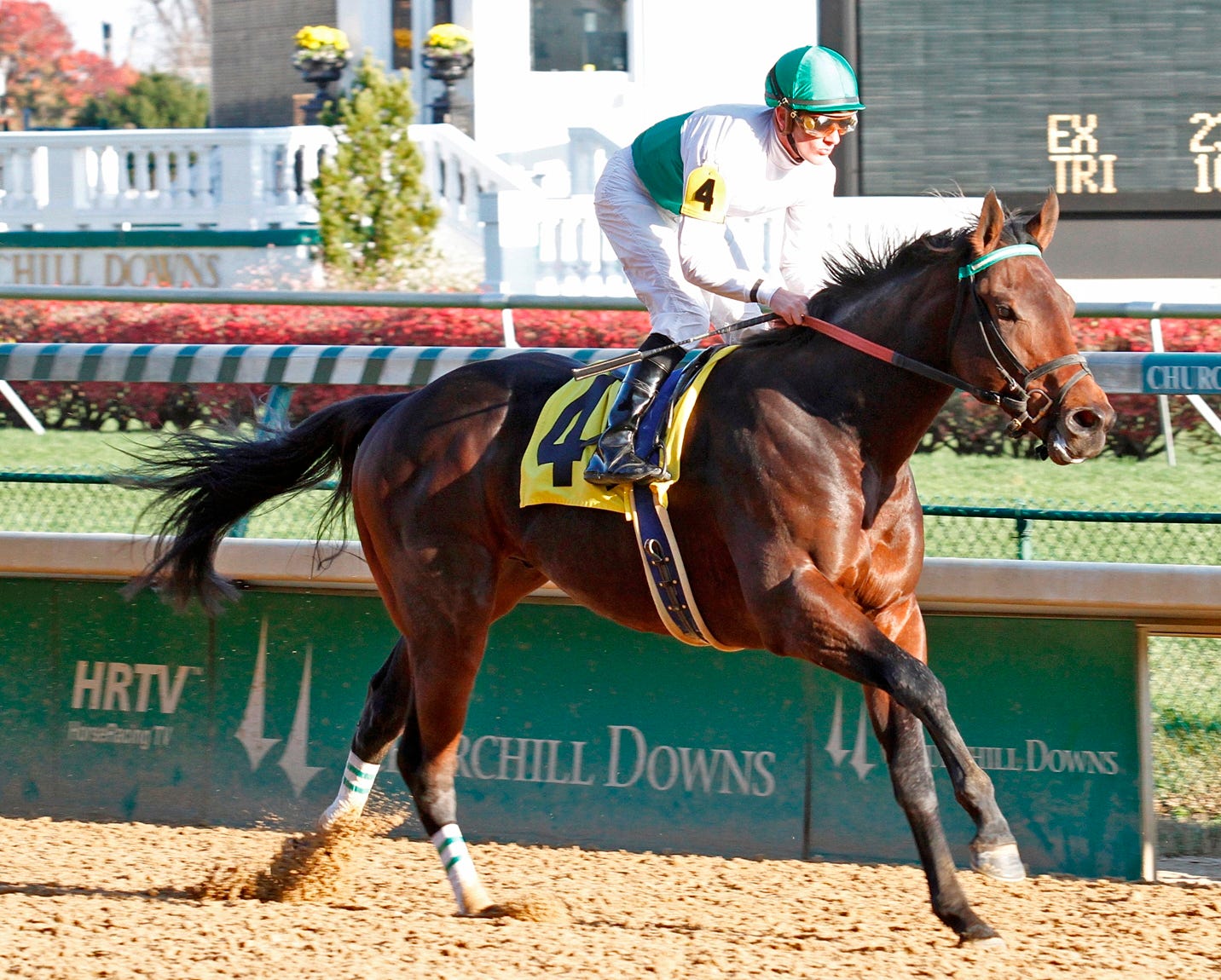 Ever So Lucky arrives at Gulfstream Park